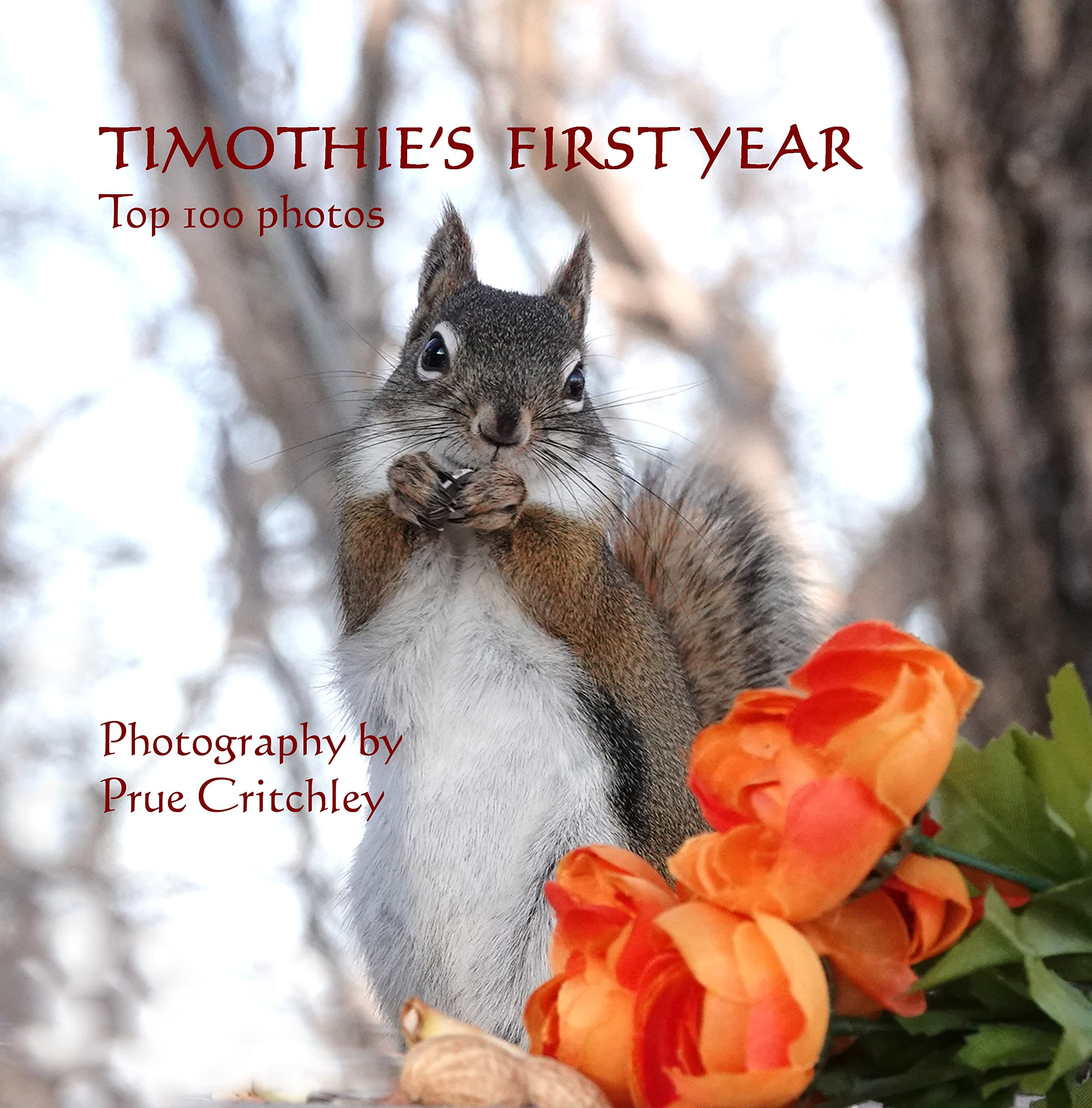 Timothie's First Year: Top 100 photos by Prue Critchley | Goodreads