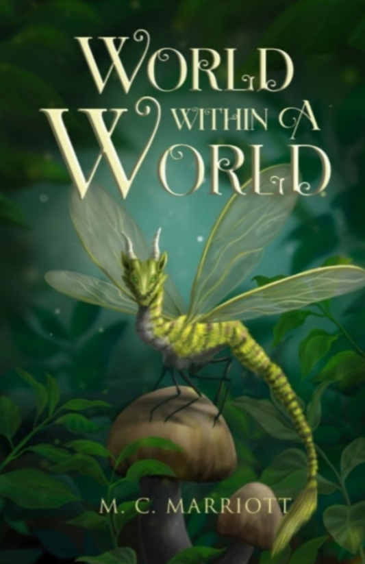 World Within a World by M.C. Marriott | Goodreads