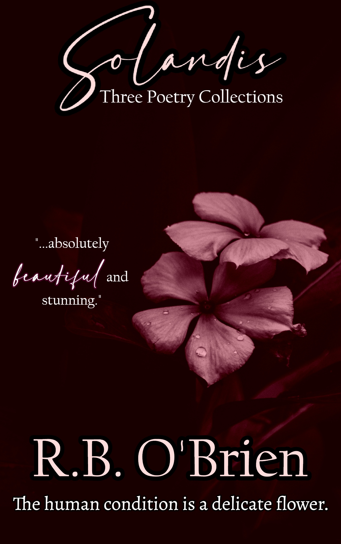 Solandis by R.B. O'Brien | Goodreads