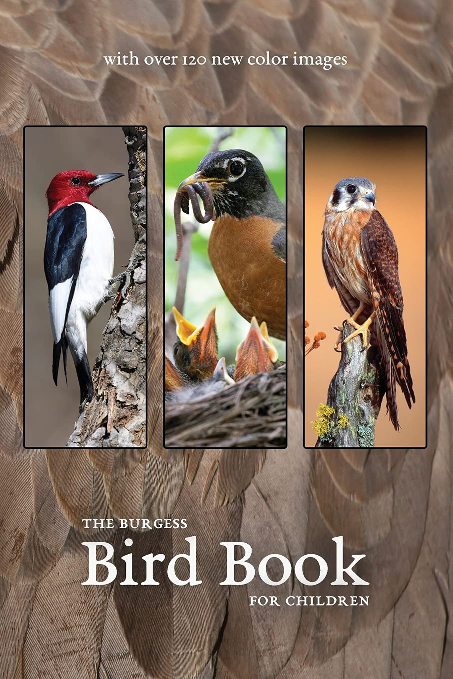 The Burgess Bird Book with new color images by Thornton W. Burgess ...