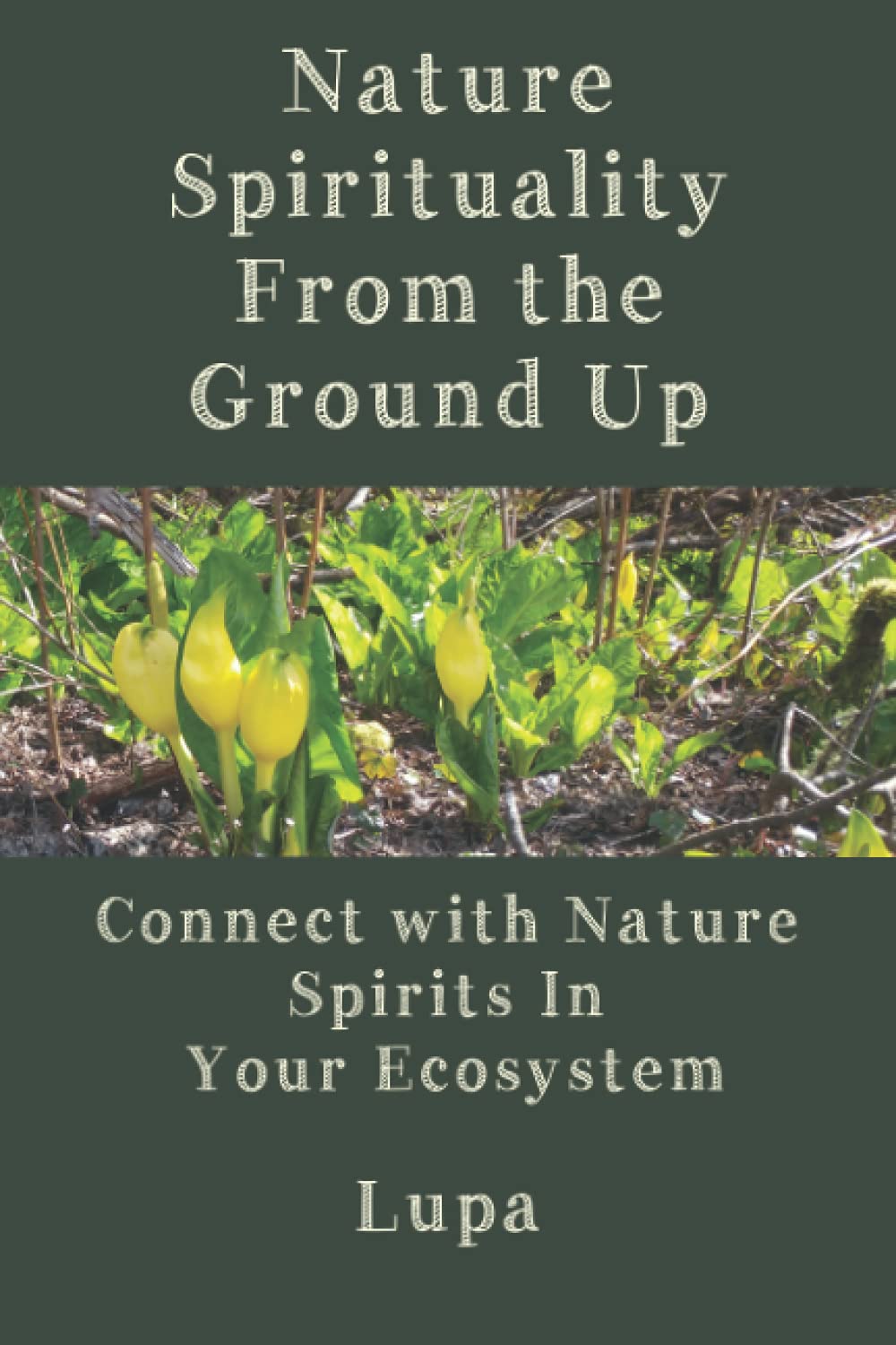 Nature Spirituality From the Ground Up: Connect With Nature Spirits In ...
