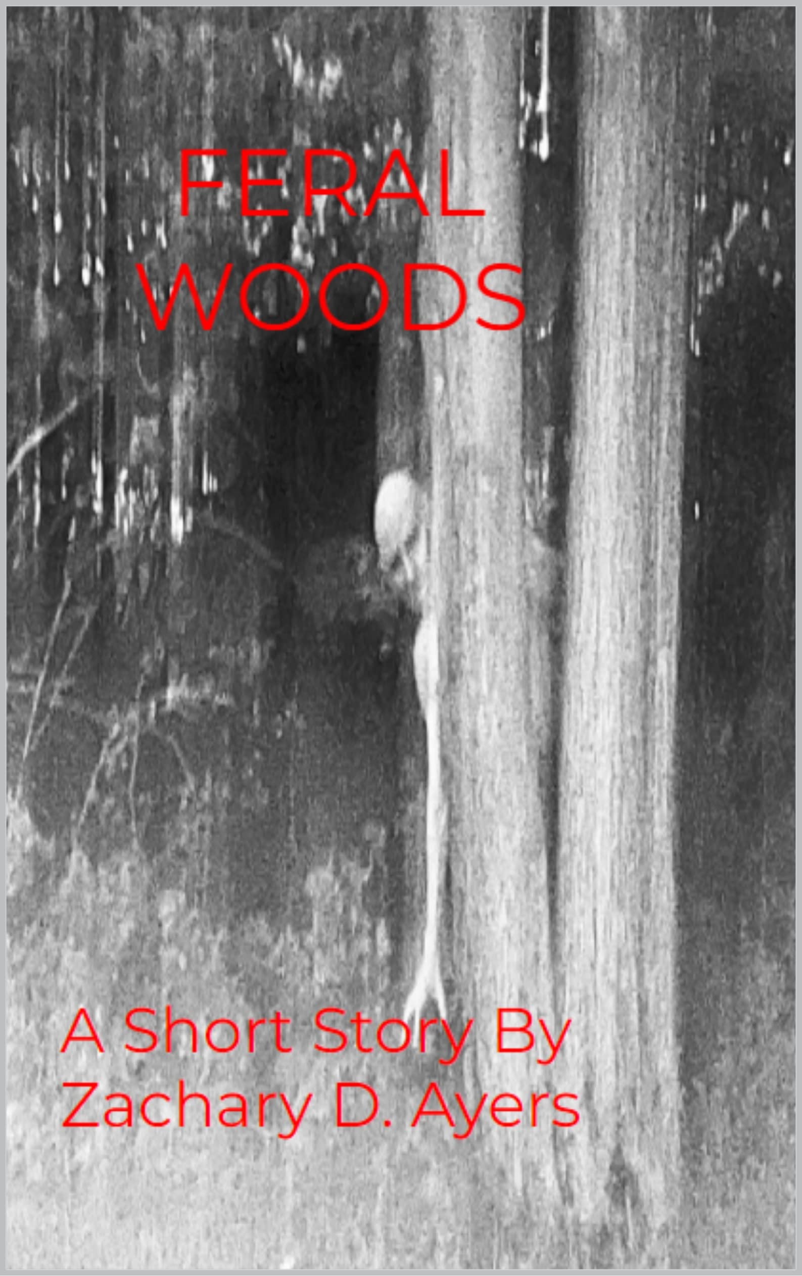 Feral Woods by Zachary Ayers | Goodreads