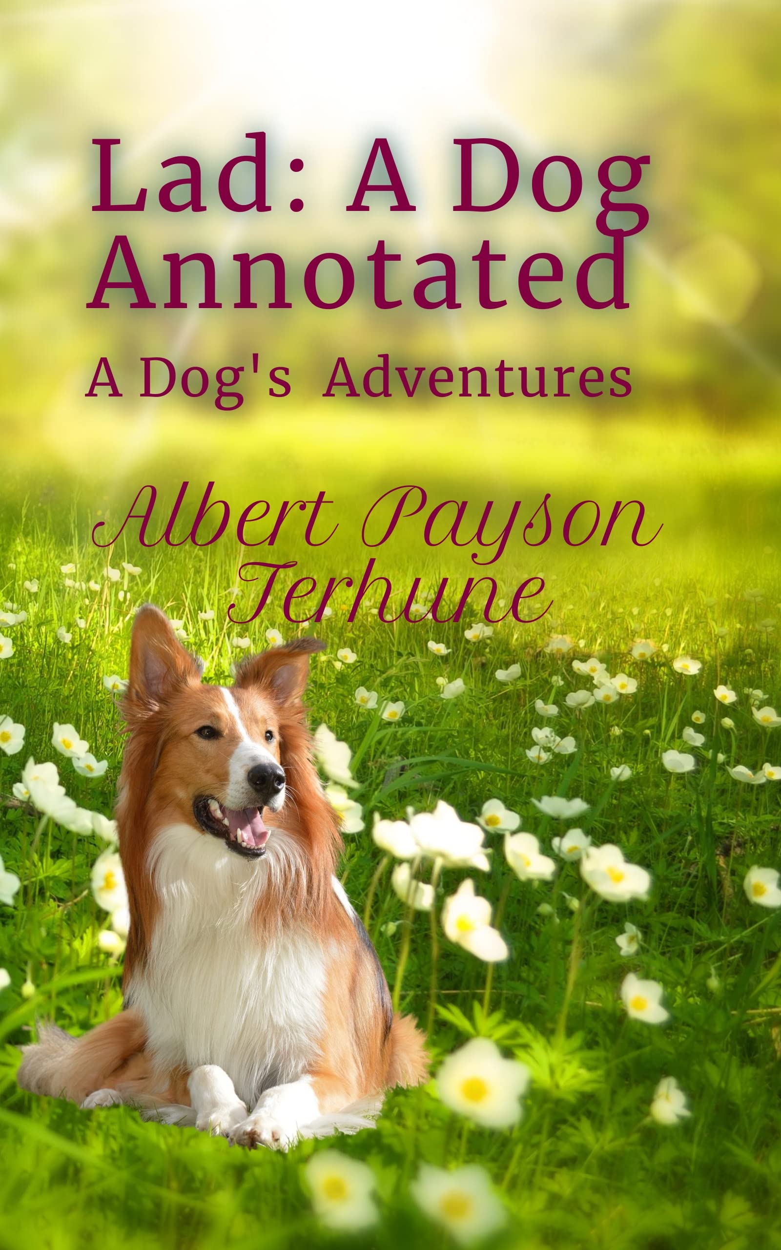 Lad: A Dog Annotated: A Dog's Adventures by Albert Payson Terhune ...