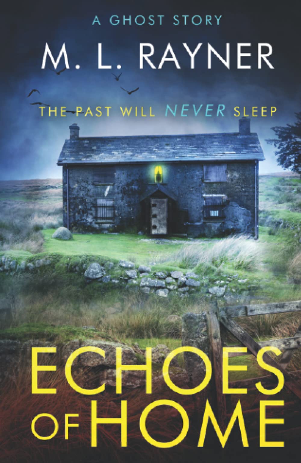 Echoes Of Home by M.L. Rayner | Goodreads