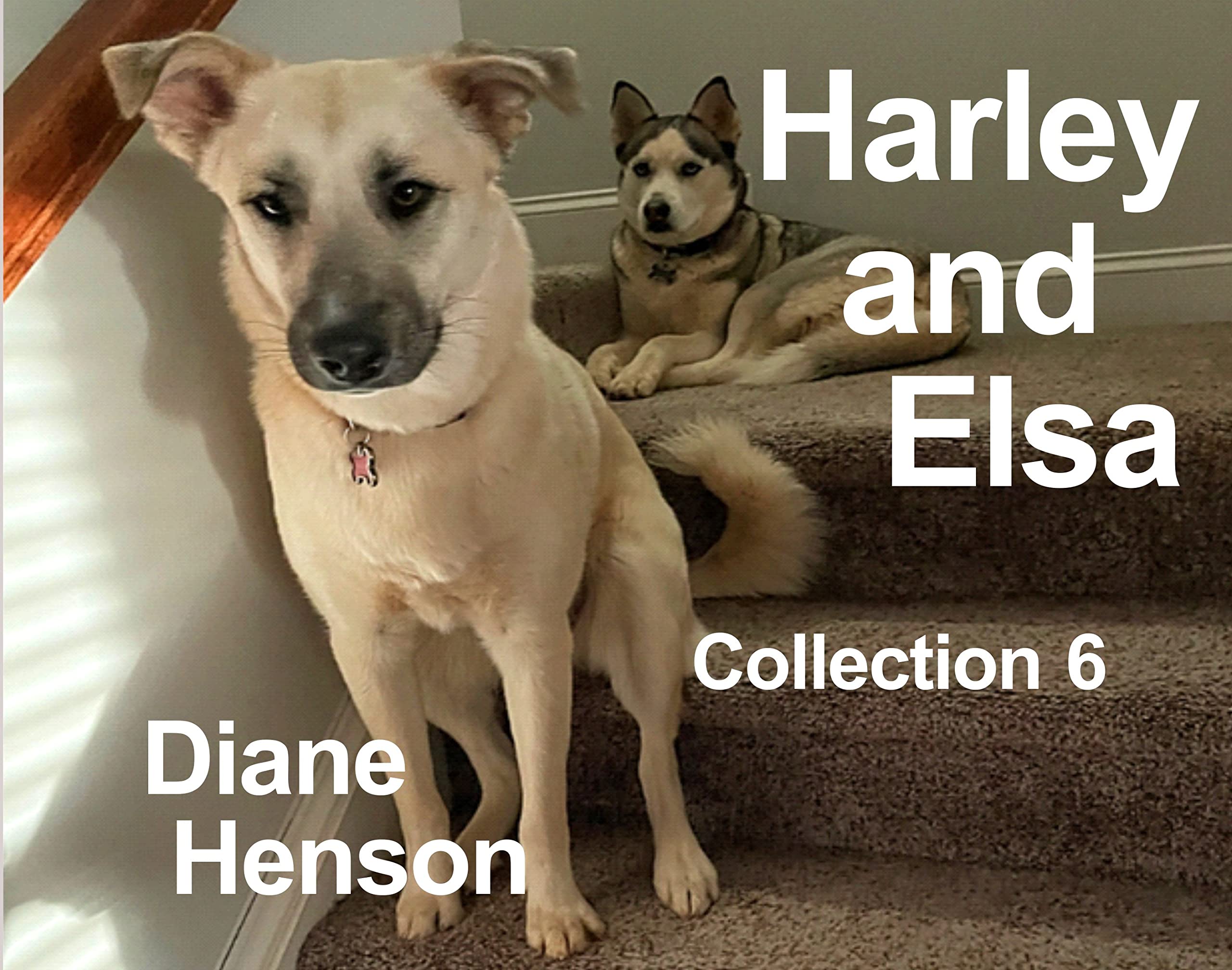Harley and Elsa Six by Diane Henson | Goodreads