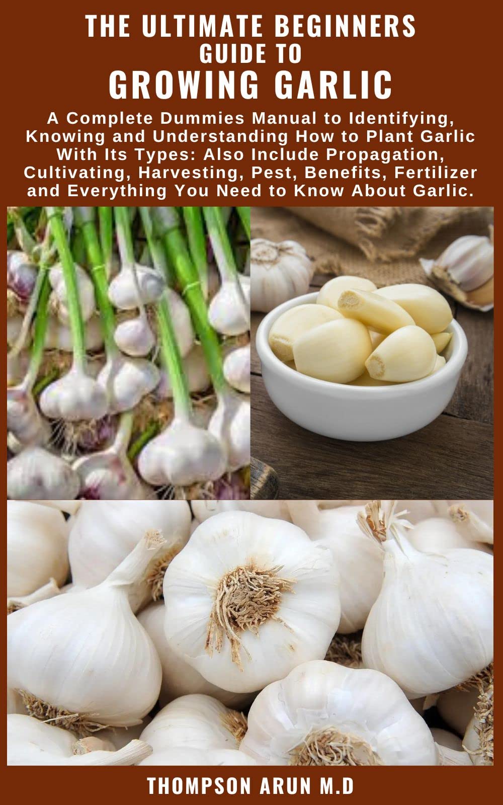 THE ULTIMATE BEGINNERS GUIDE TO GROWING GARLIC: A Complete Dummies ...