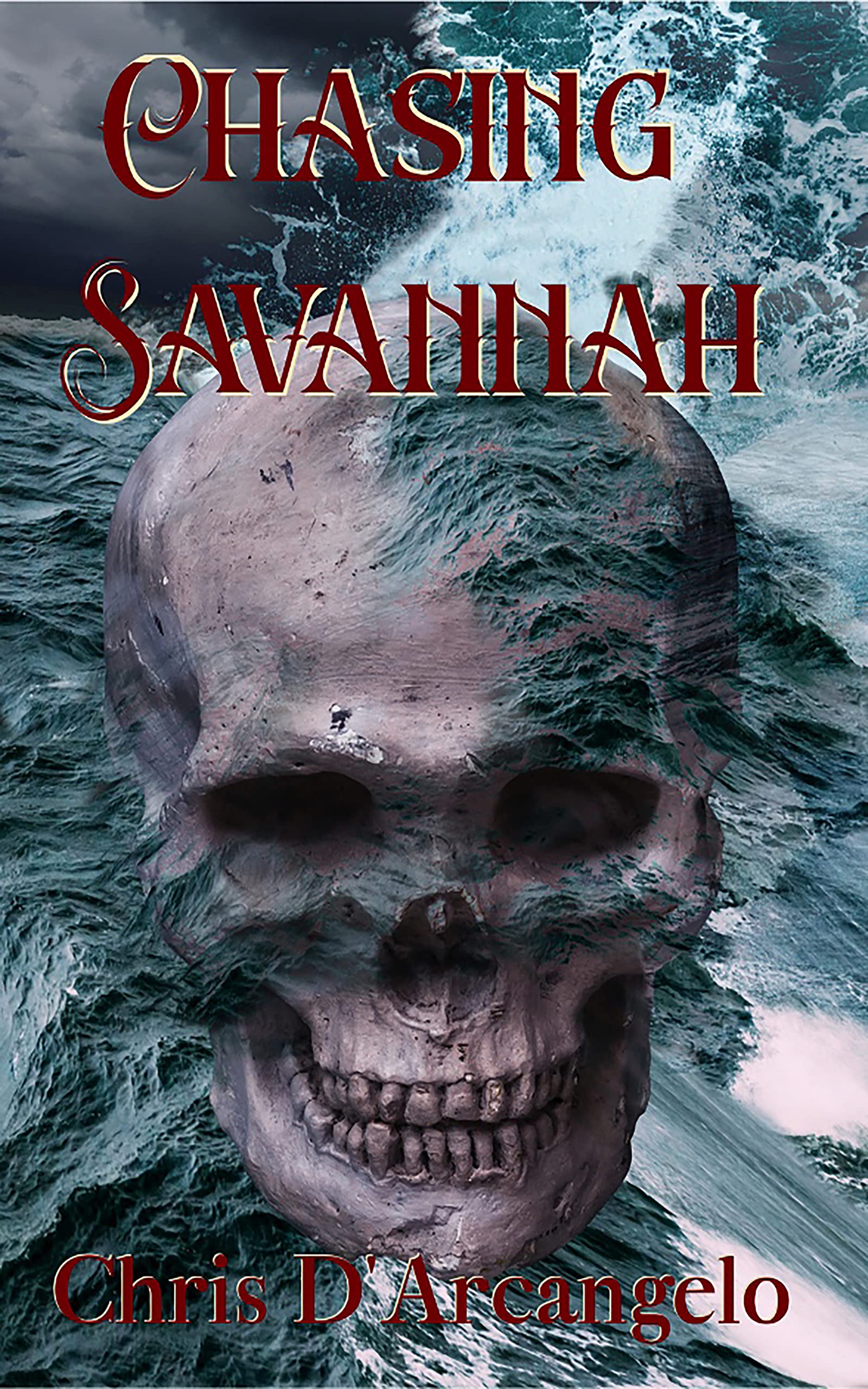 Chasing Savannah by Chris D'Arcangelo | Goodreads