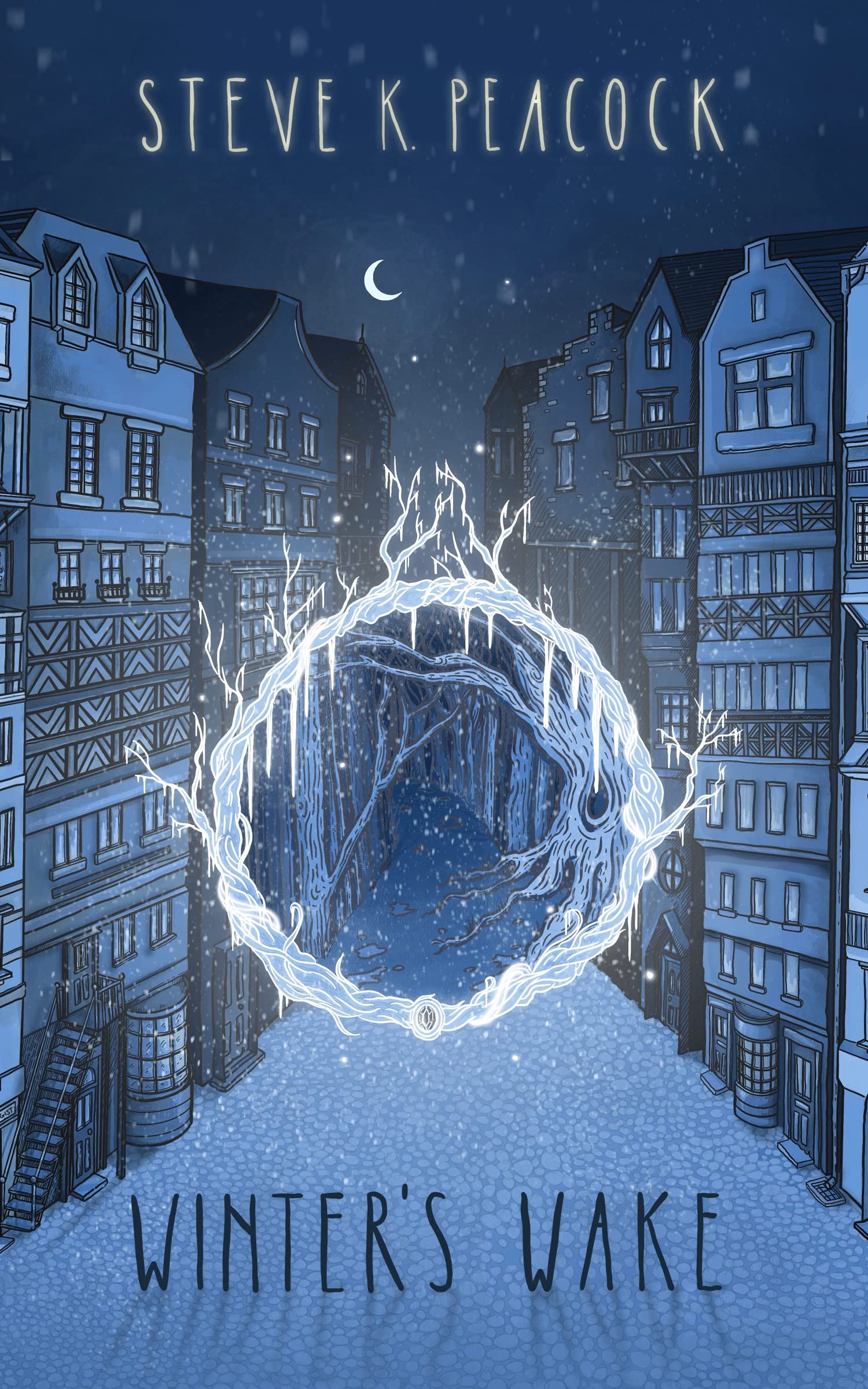 Winter's Wake by Steve K. Peacock | Goodreads