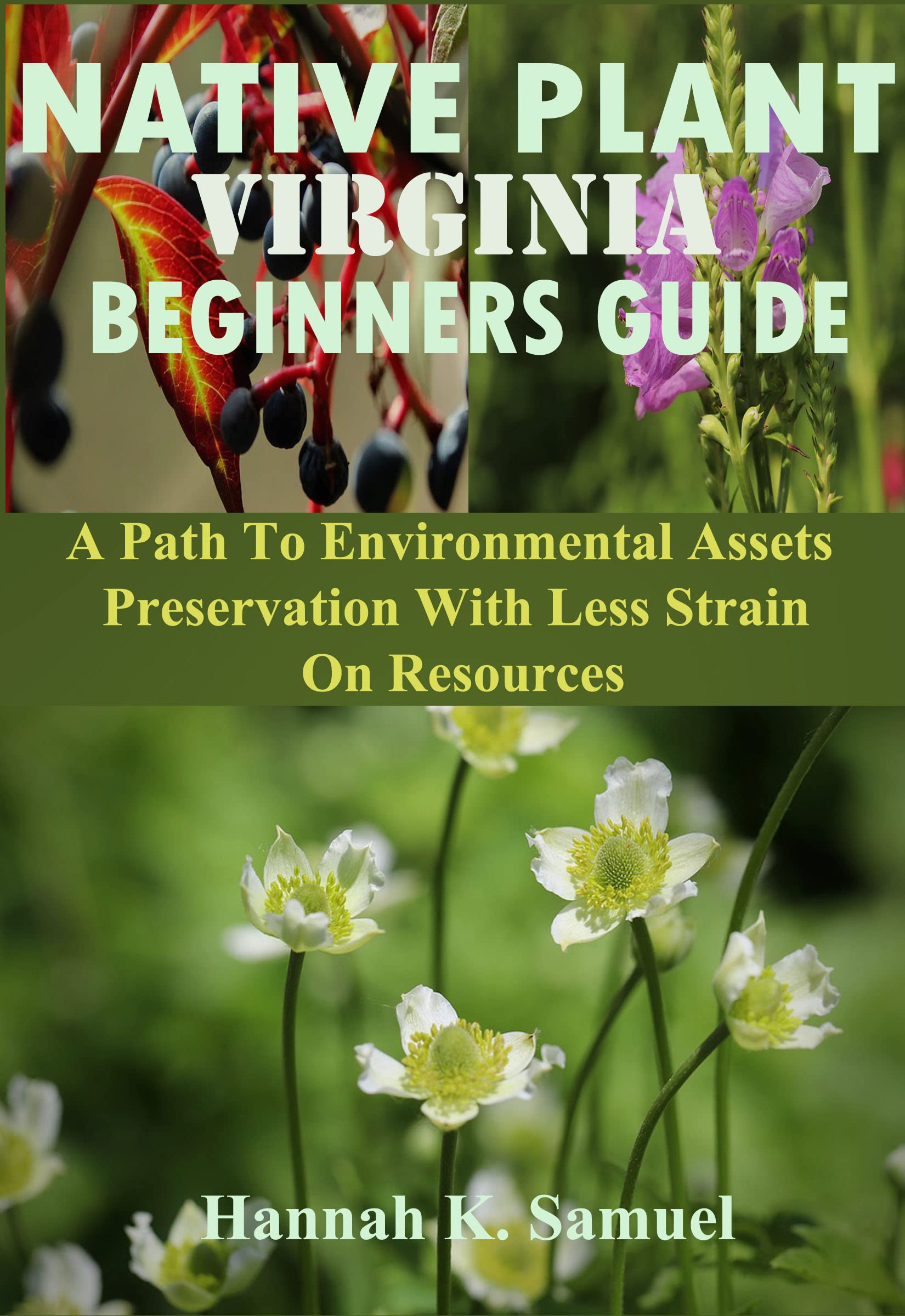 Native Plant Virginia Beginners Guide: A Path to Environmental Assets ...