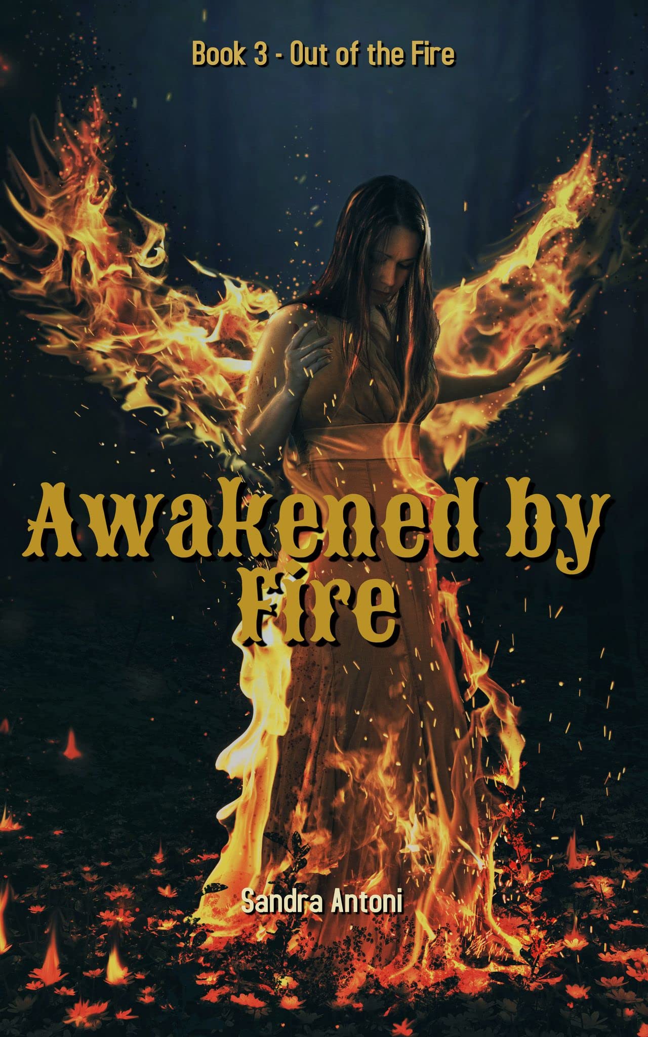 Awakened by Fire: Book 3 - Out of the Fire Series by Sandra Antoni ...