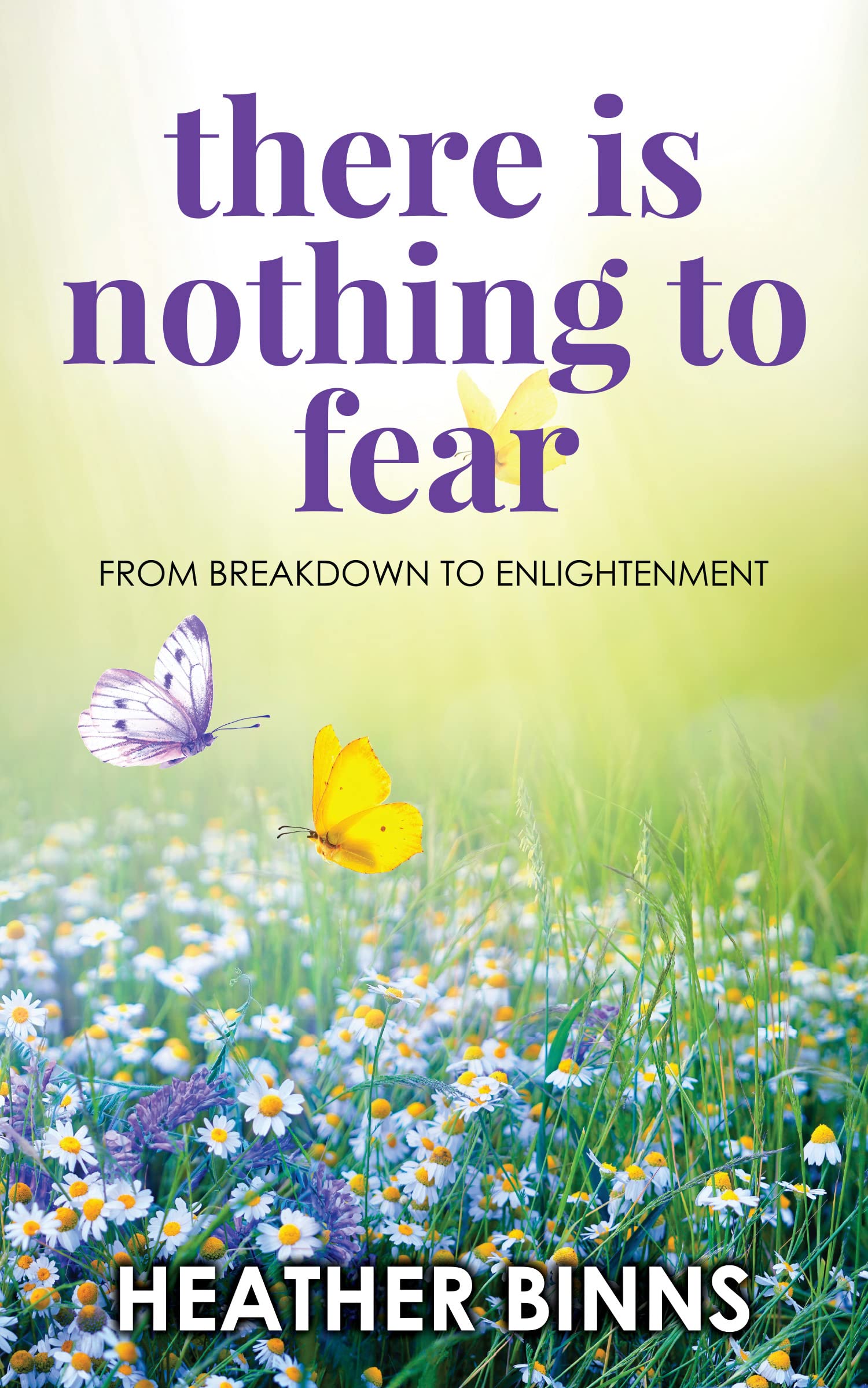 There is Nothing to Fear: From Breakdown to Enlightenment by Heather ...