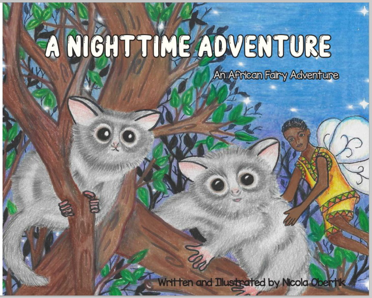 A Nighttime Adventure- An African Fairy Adventure Book by Nicola ...