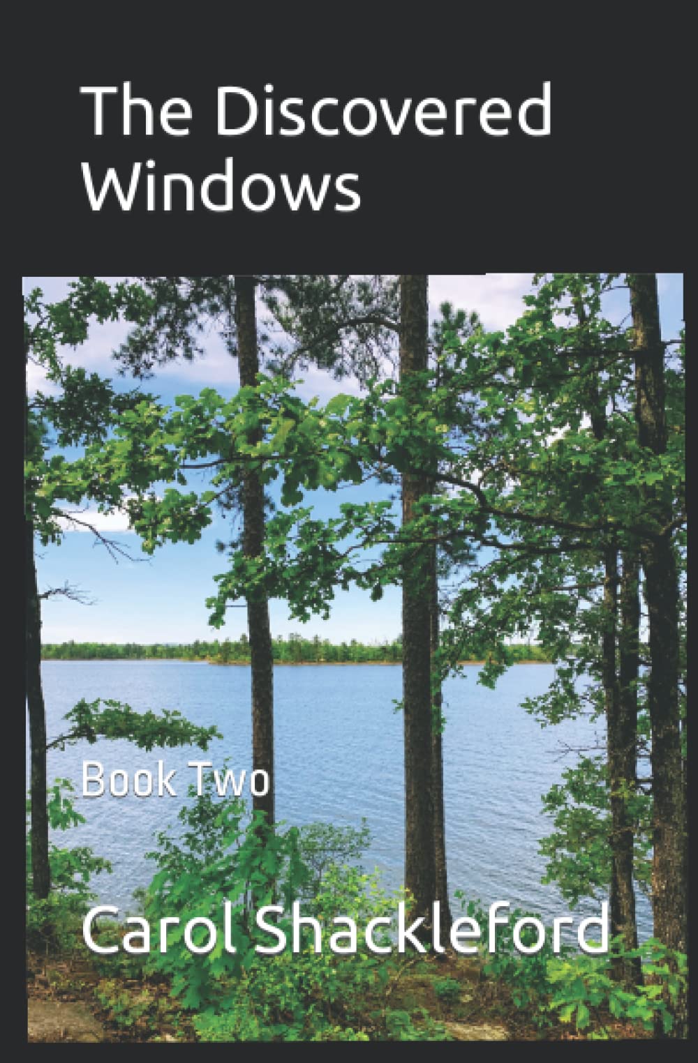 The Discovered Windows: Book Two by Carol Shackleford | Goodreads