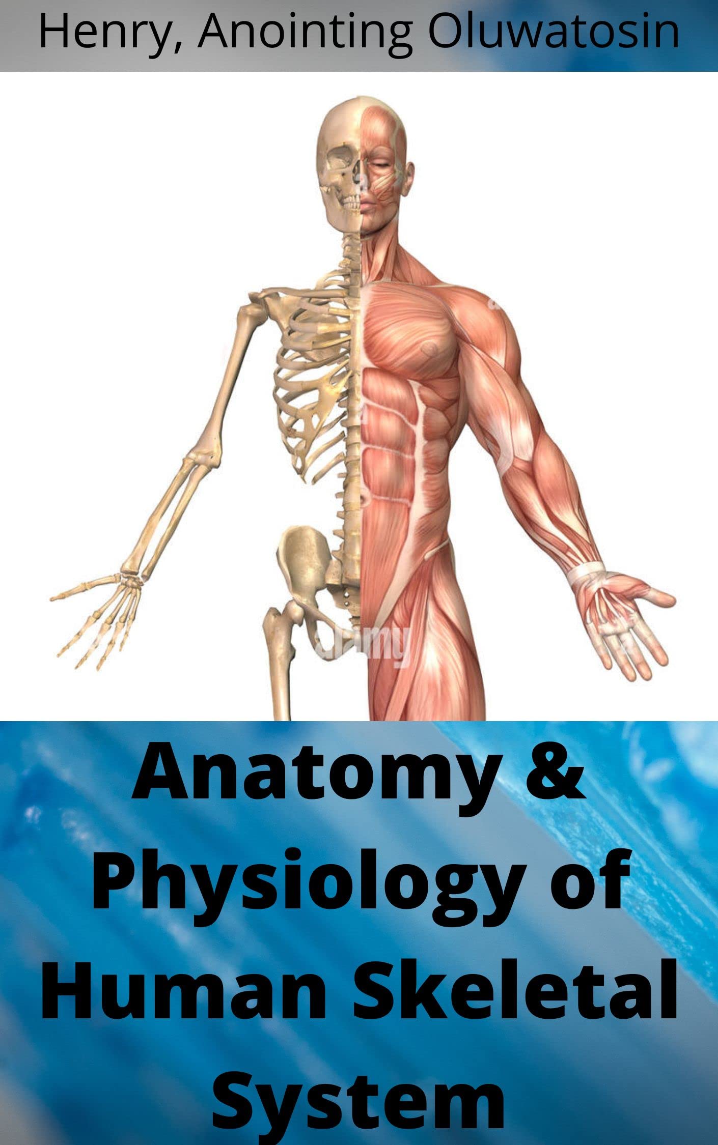Anatomy & Physiology of the Human Skeletal System: Structure, function, and classification of ...