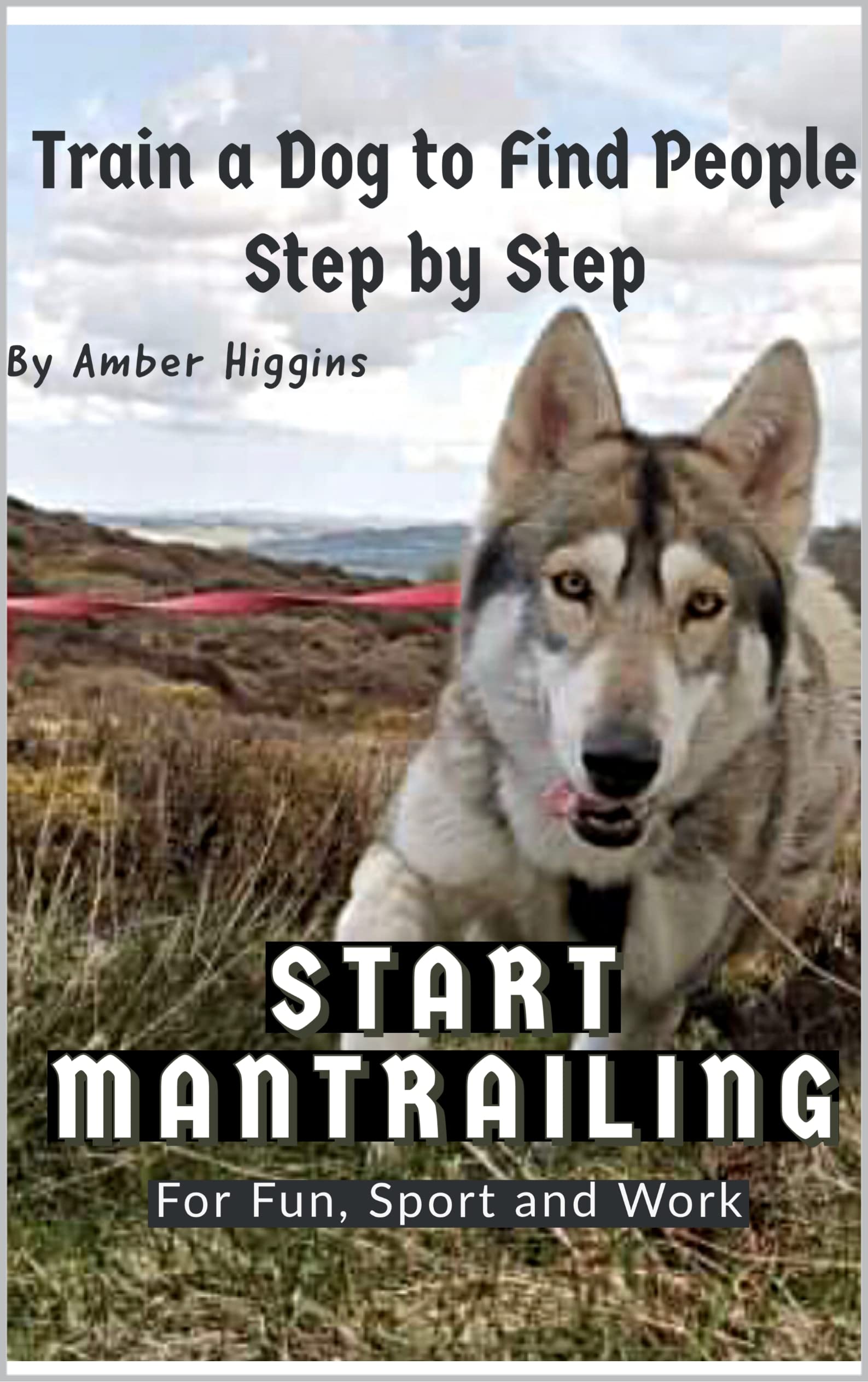 Start Mantrailing Train a Dog to Find People: Step by Step for Fun ...