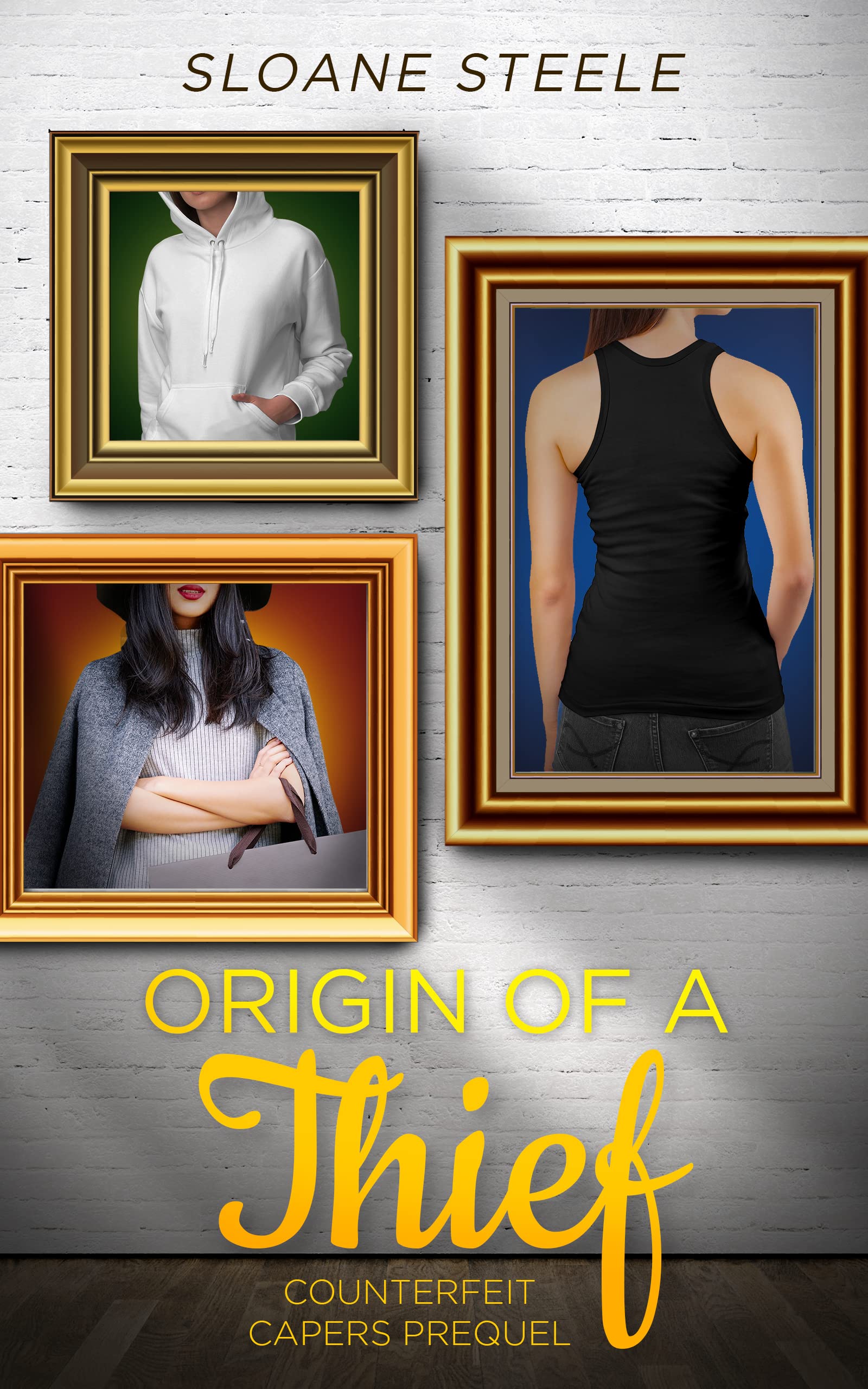 Origin of a Thief (Counterfeit Capers, #.5) by Sloane Steele | Goodreads