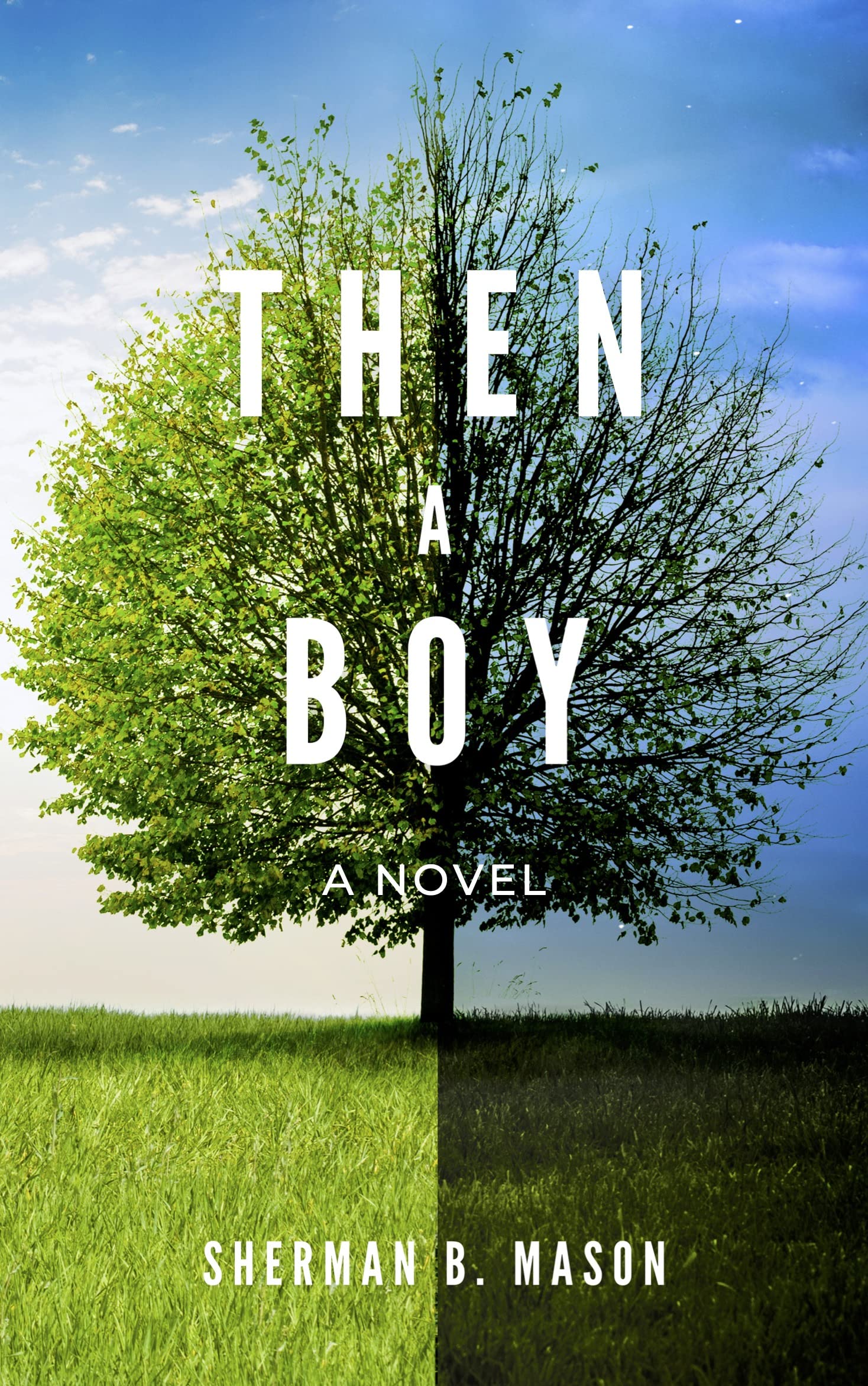 Then, A Boy (The Wound Heirs) by Sherman Mason | Goodreads