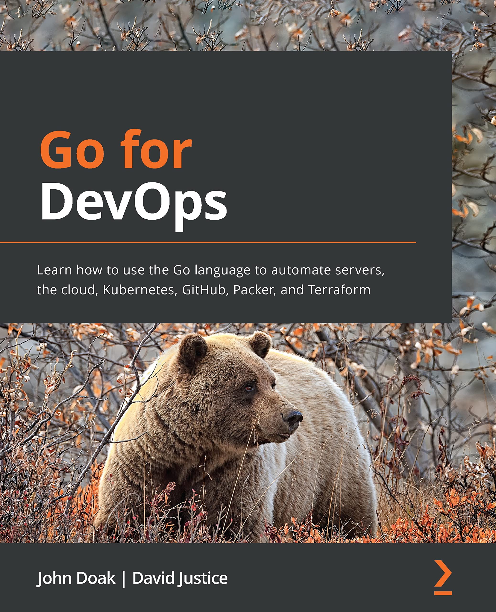 Go for DevOps: Learn how to use the Go language to automate servers ...