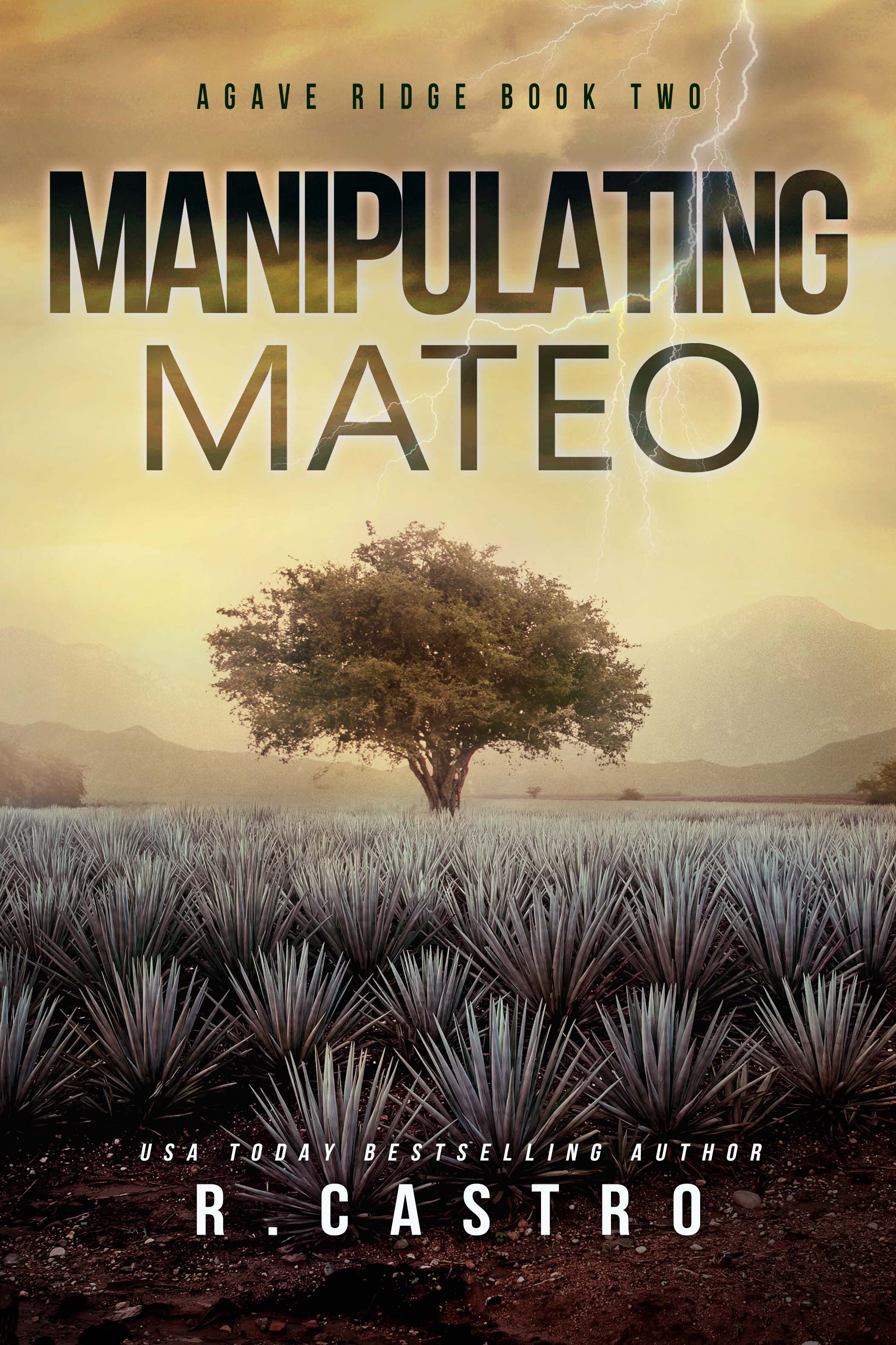 Manipulating Mateo by R. Castro | Goodreads