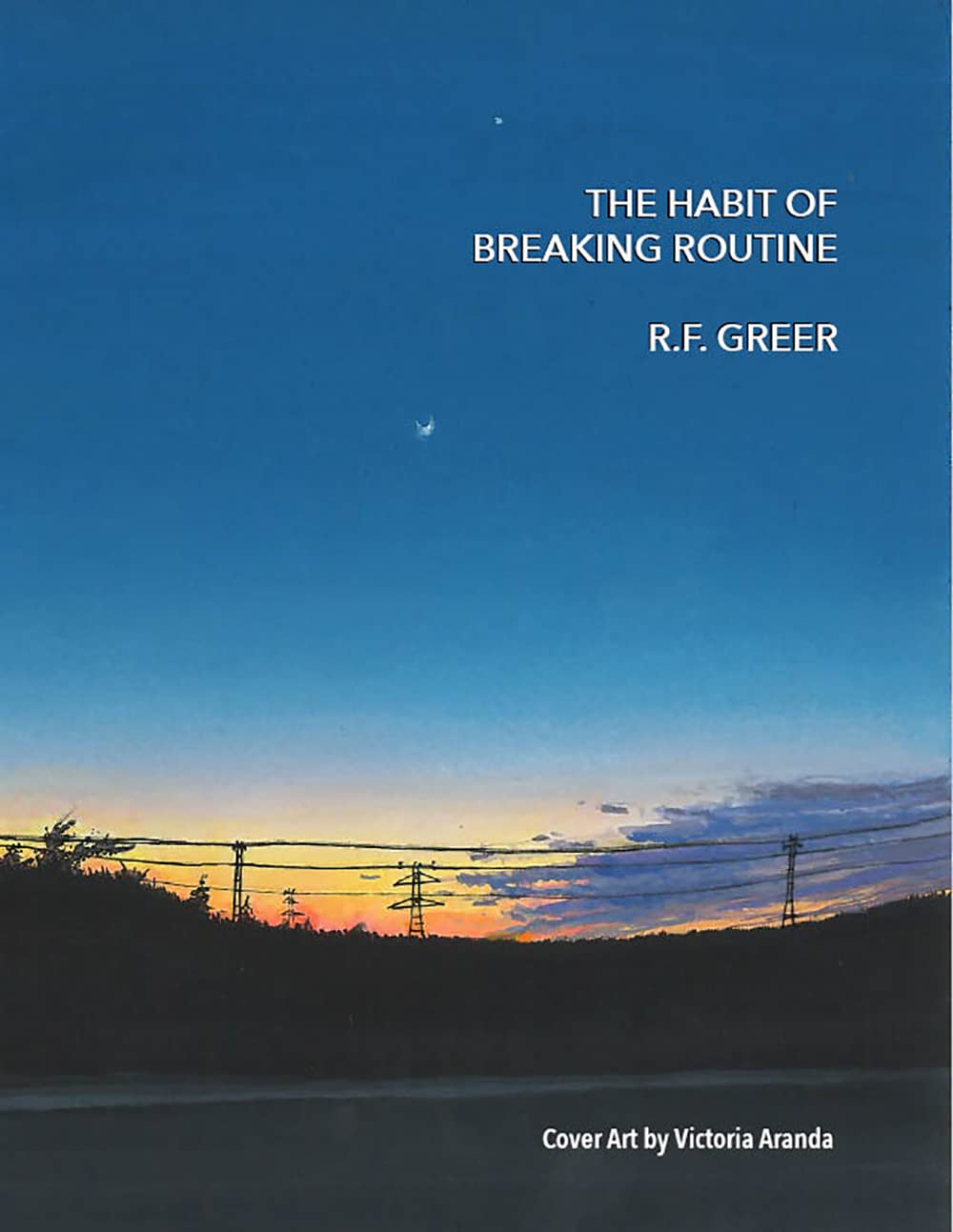 The Habit of Breaking Routine: a book of poetry on the young adult ...