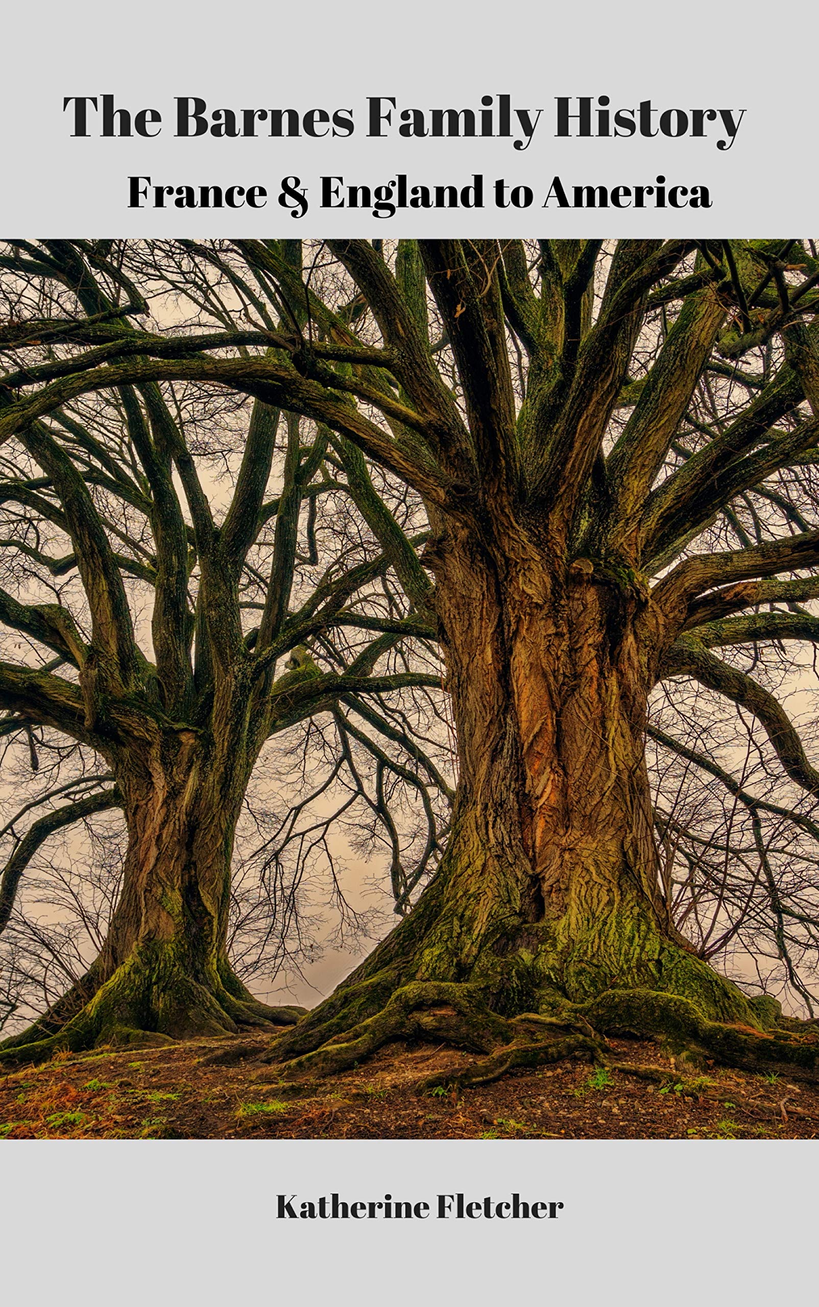 The Barnes Family History: France & England to America by Katherine ...