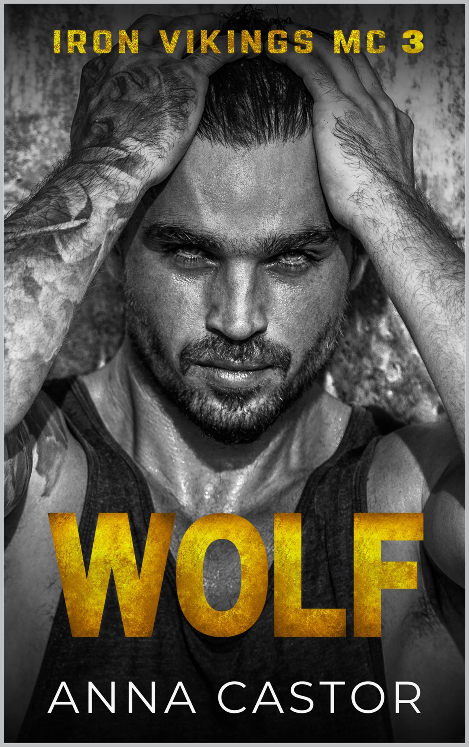Wolf (Iron Vikings MC #3) by Anna Castor | Goodreads