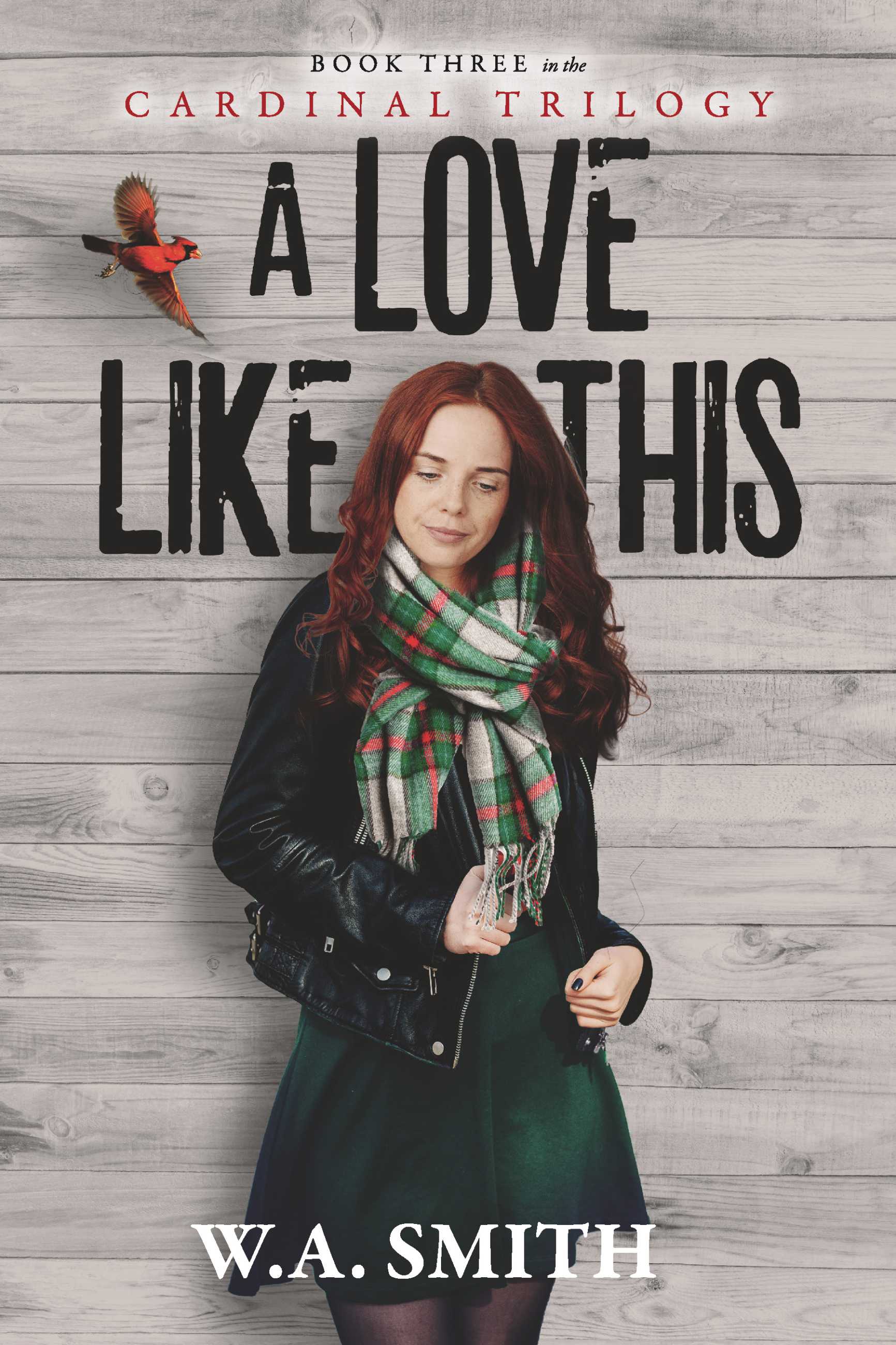 A Love Like This: Book Three in the Cardinal Trilogy by W.A. Smith ...