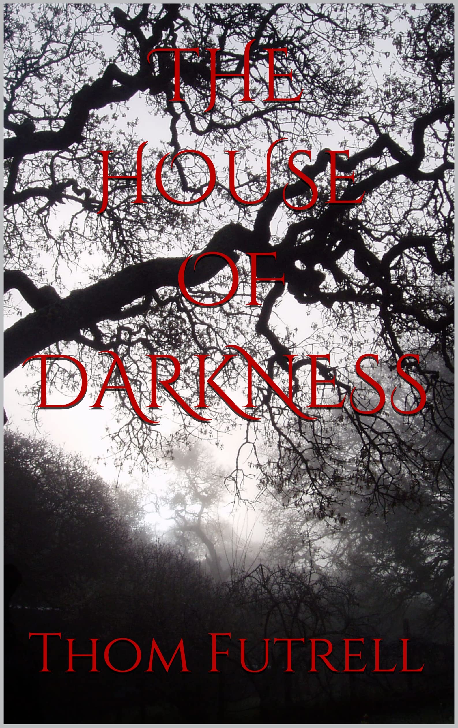 THE HOUSE OF DARKNESS by Thom Futrell | Goodreads
