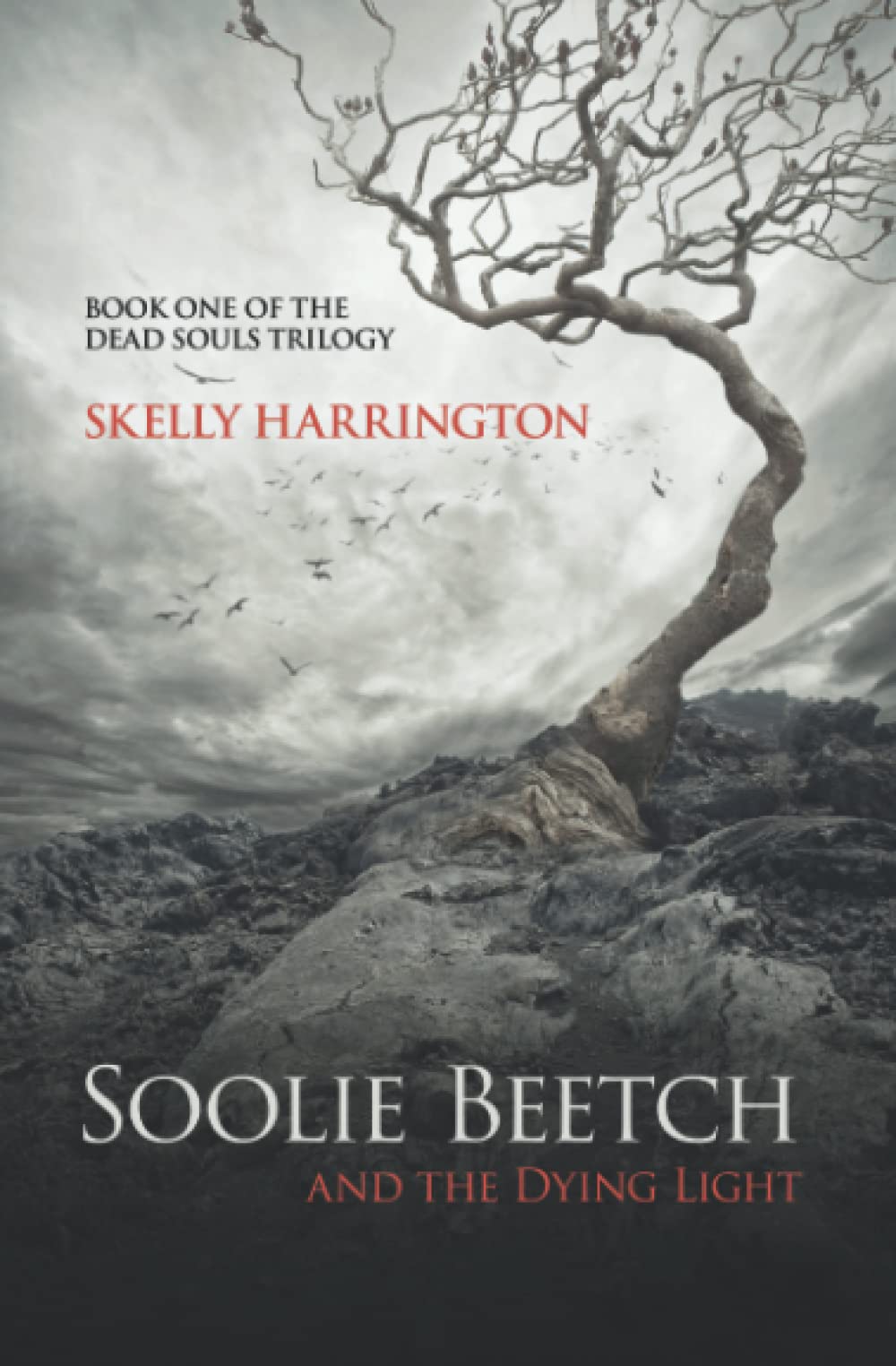 Soolie Beetch and the Dying Light by Skelly Harrington | Goodreads