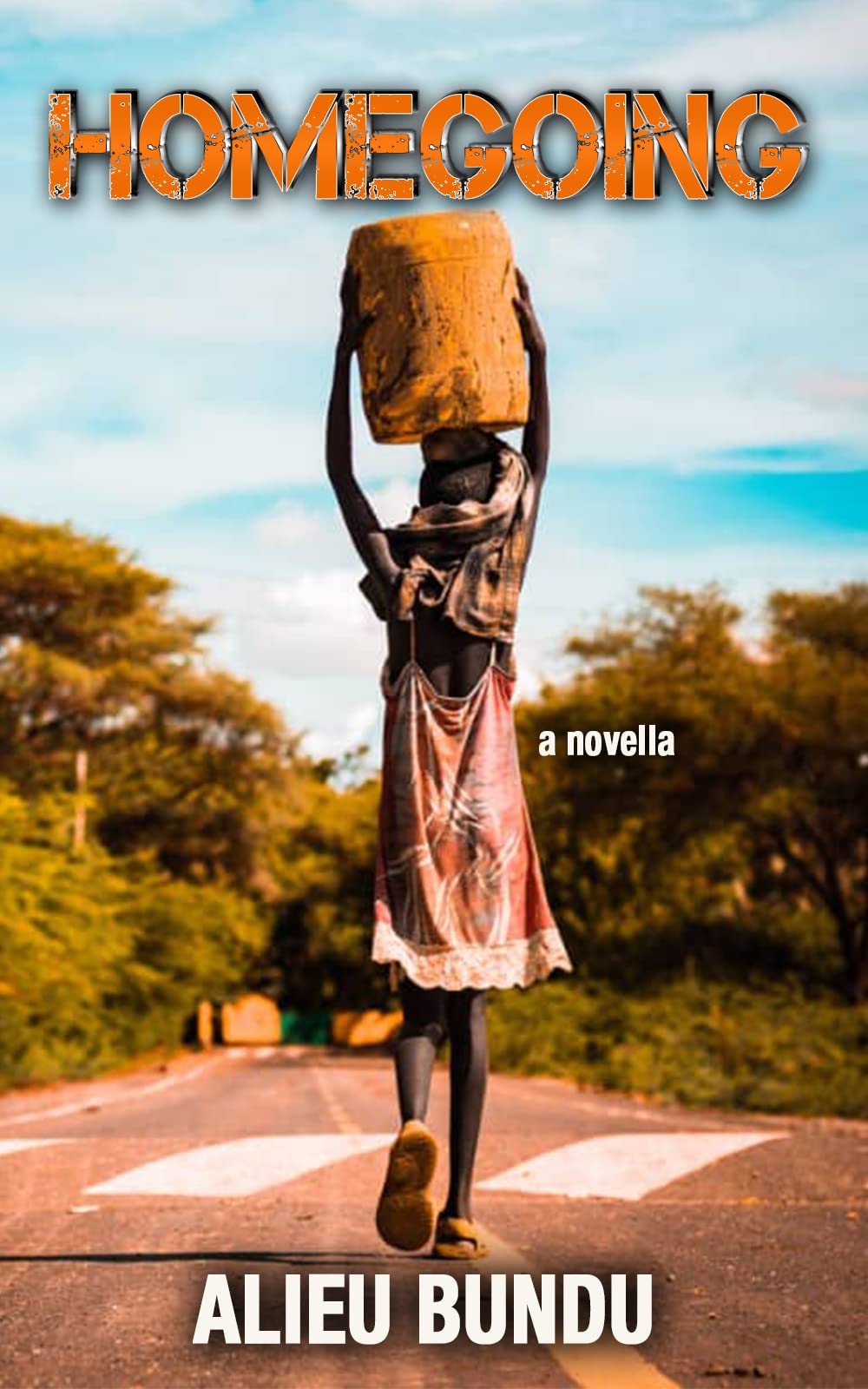 Homegoing by Alieu Bundu | Goodreads