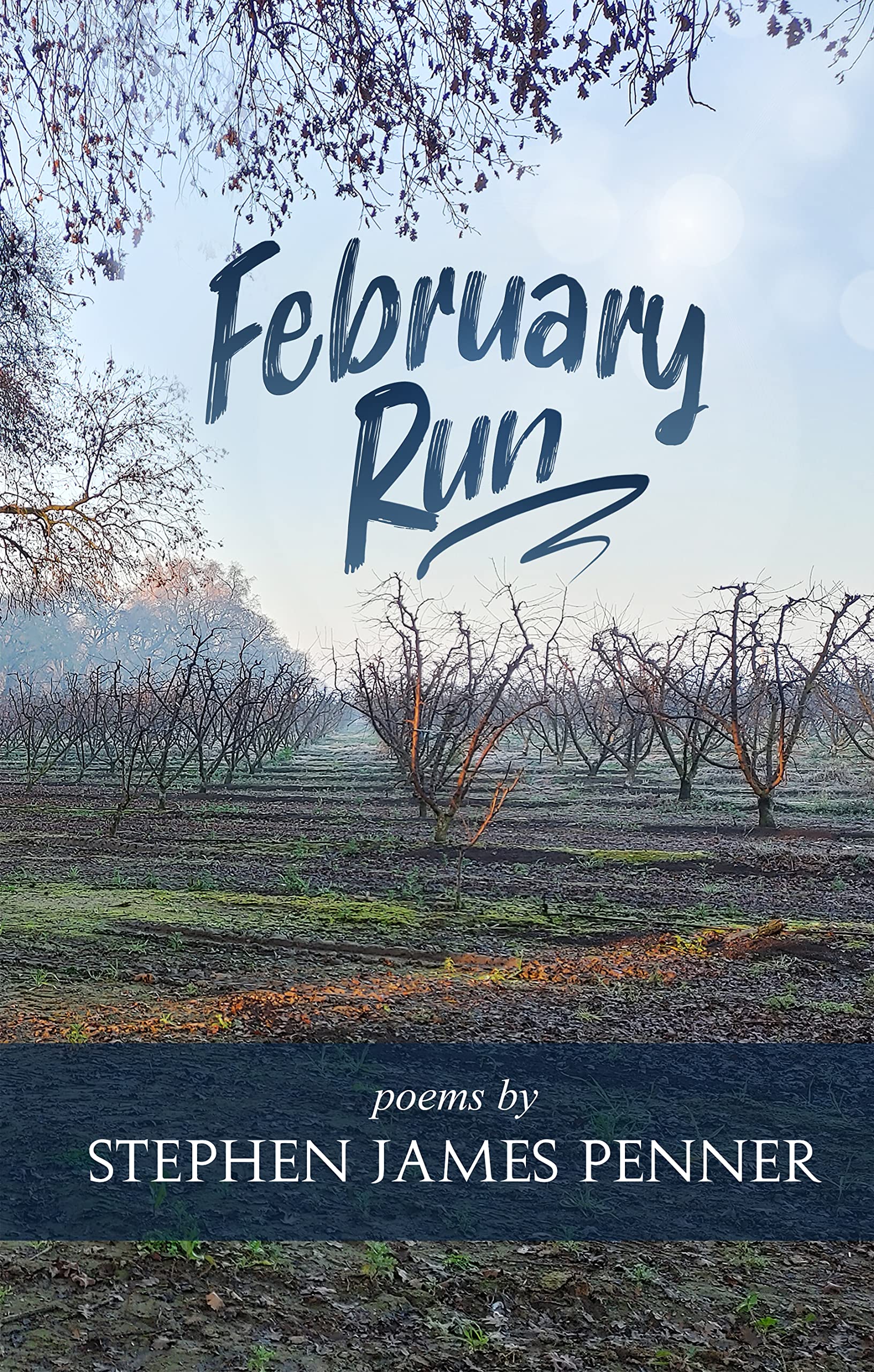 February Run by Stephen James Penner | Goodreads