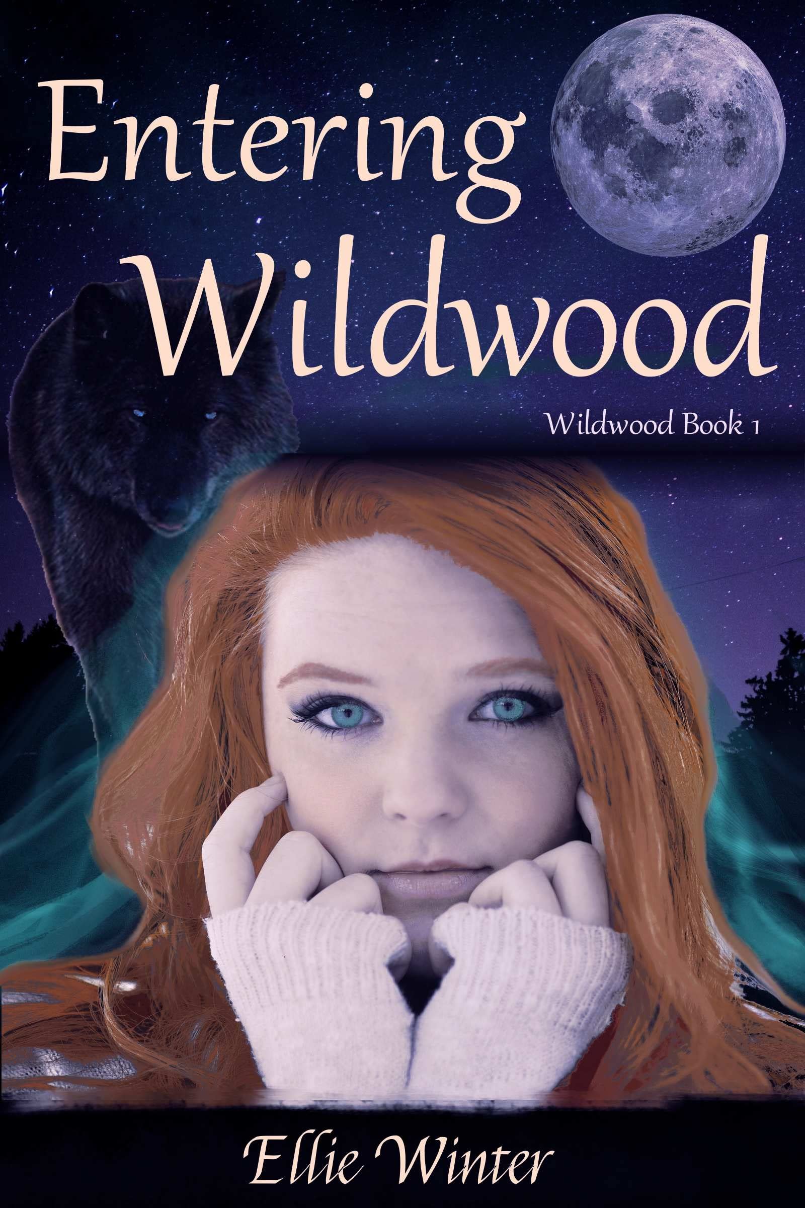 Entering Wildwood: Paranormal romance series Wildwood book 1 by Ellie ...