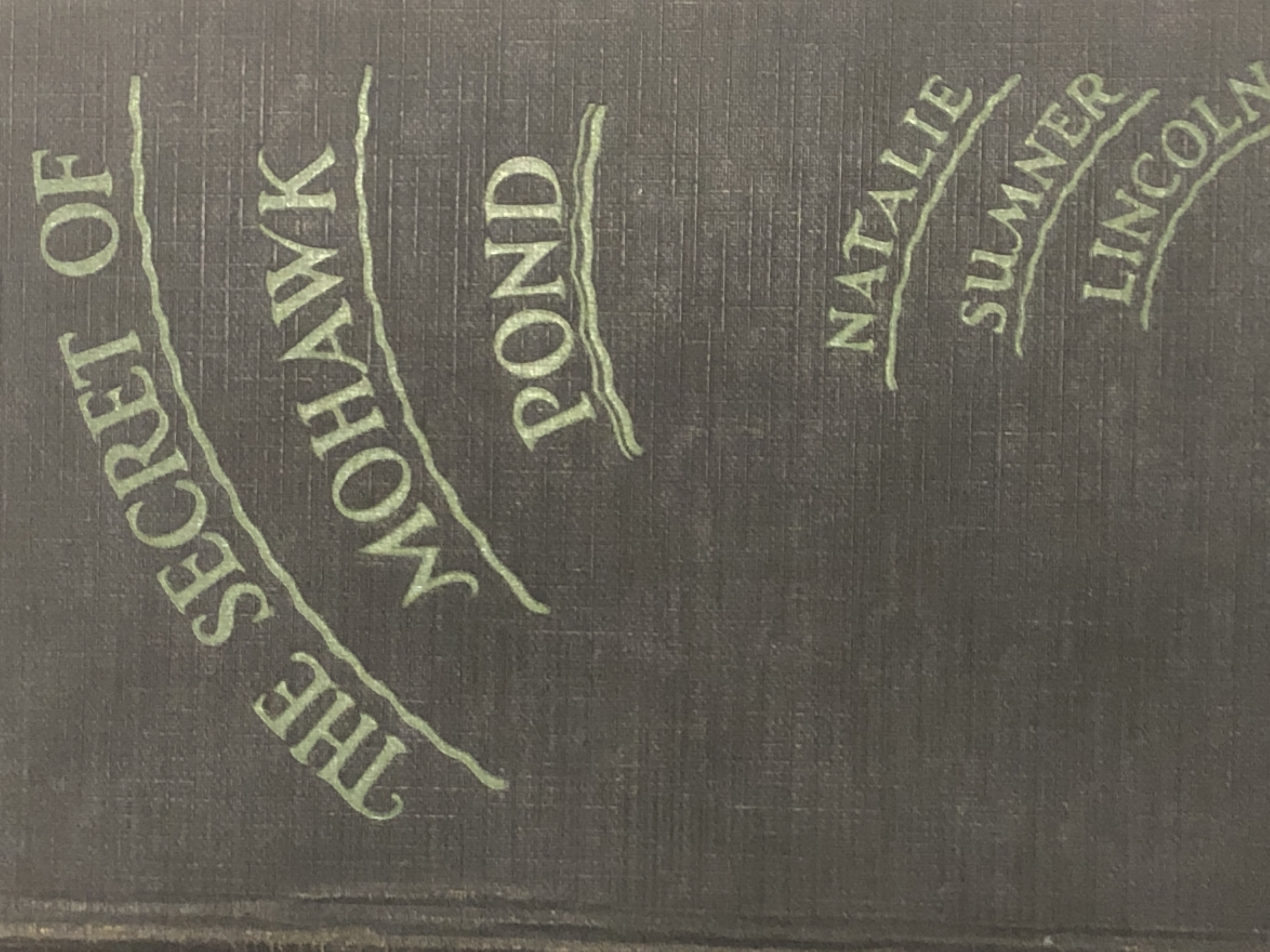 The Secret of Mohawk Pond by Natalie Sumner Lincoln | Goodreads