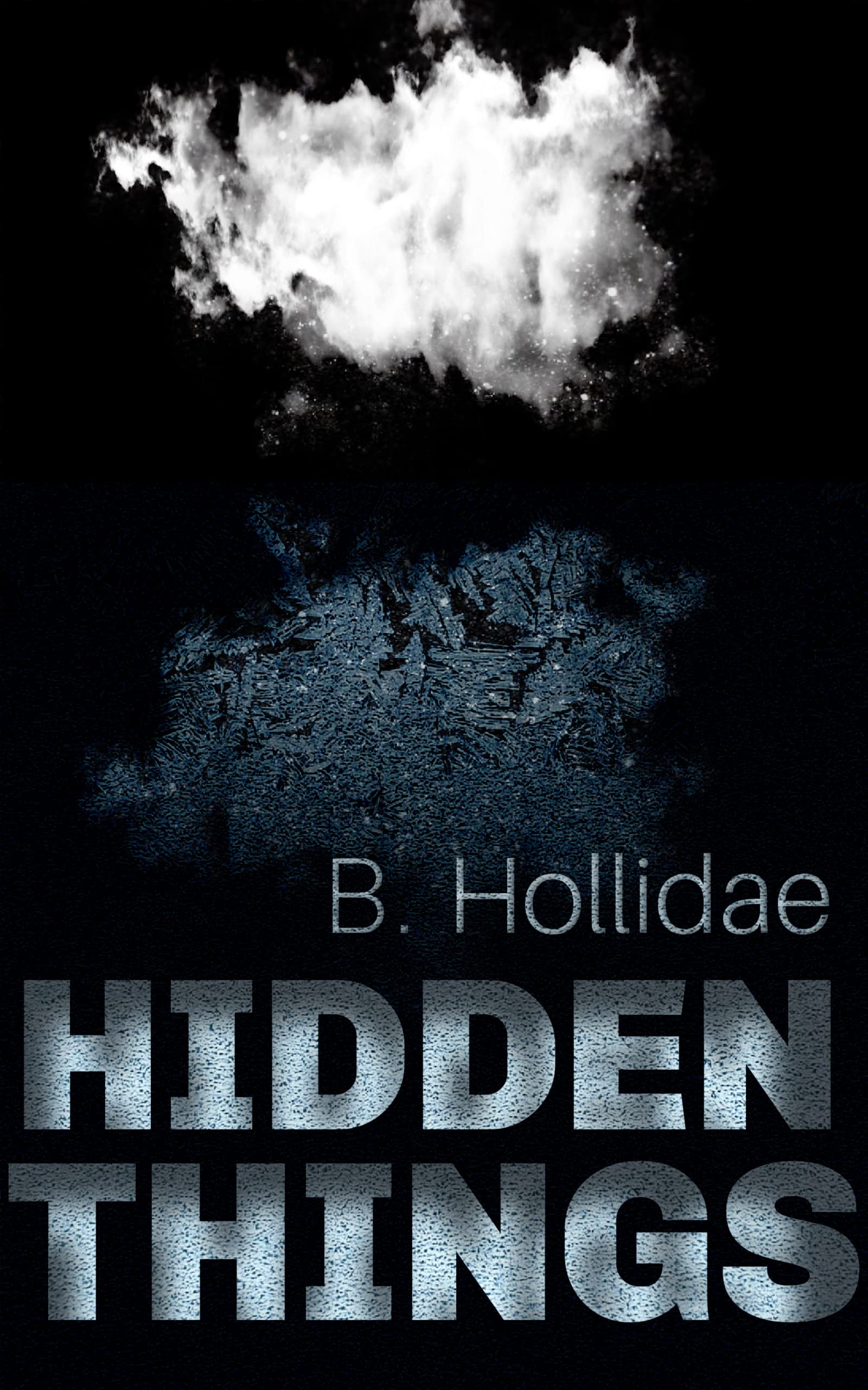 Hidden Things by B. Hollidae | Goodreads