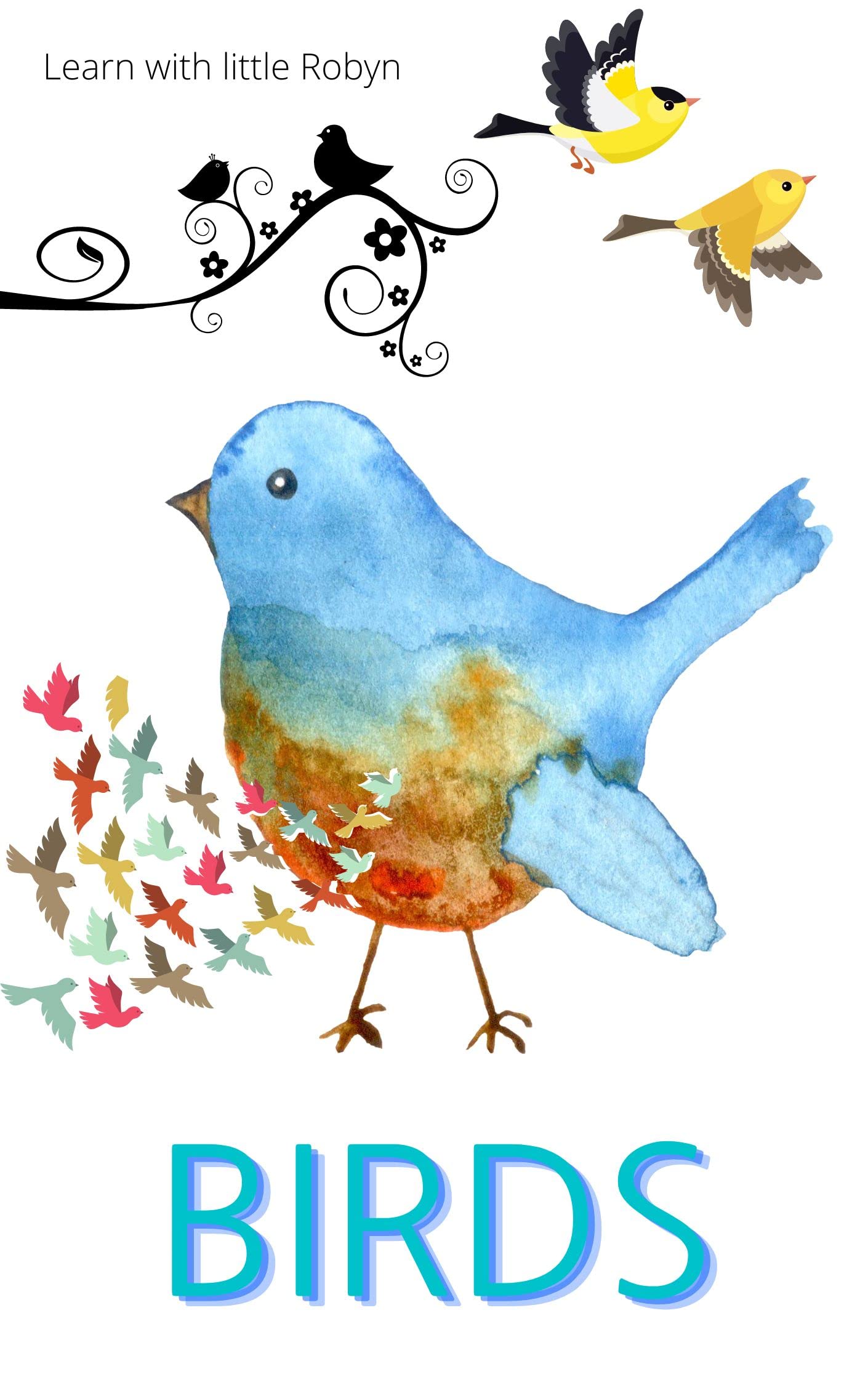 Learn with little Robyn : Birds by Lavender White | Goodreads