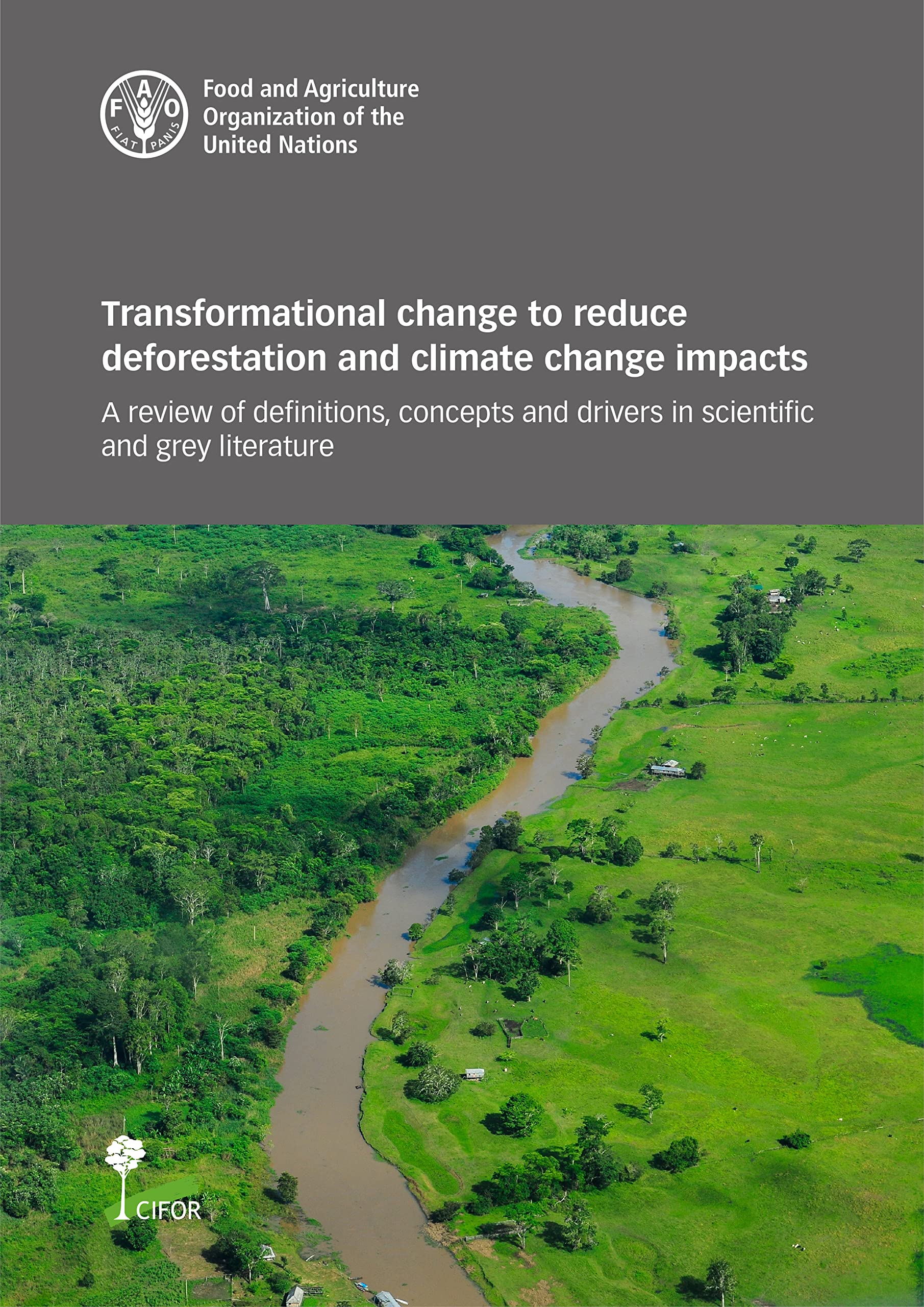Transformational change to reduce deforestation and climate change ...