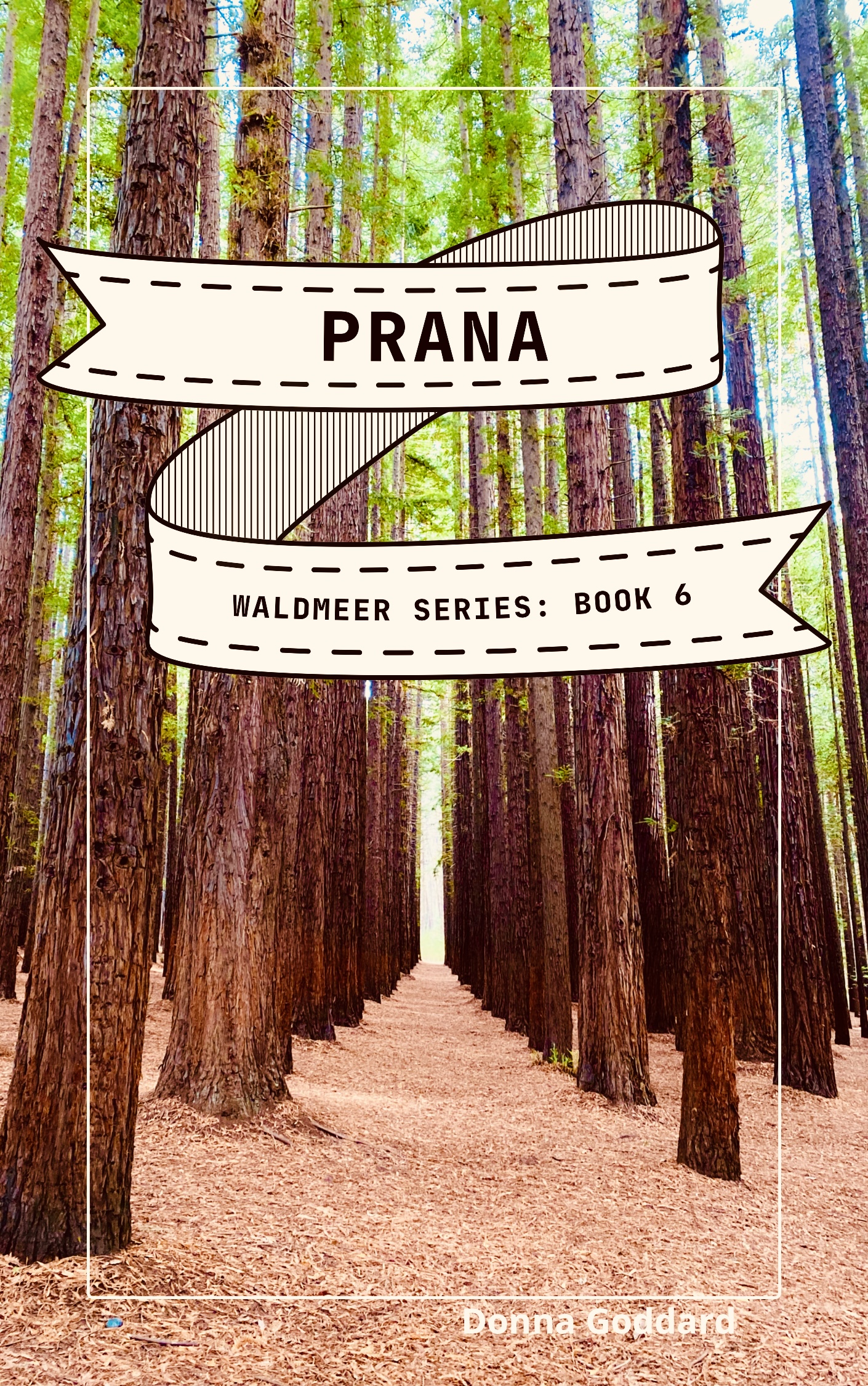 Prana: A Spiritual Fiction Series by Donna Goddard | Goodreads