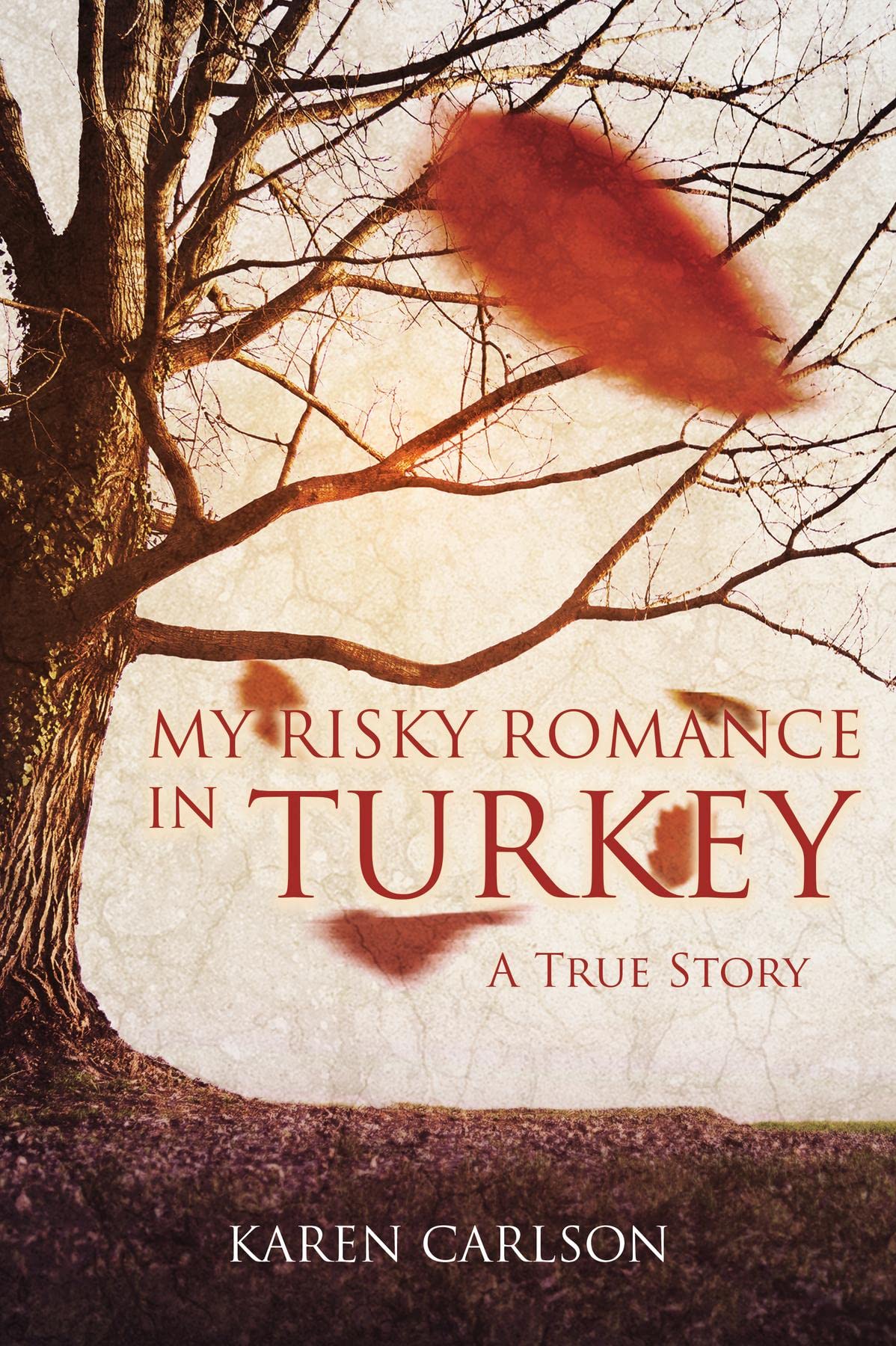 My Risky Romance in Turkey by Karen Carlson | Goodreads