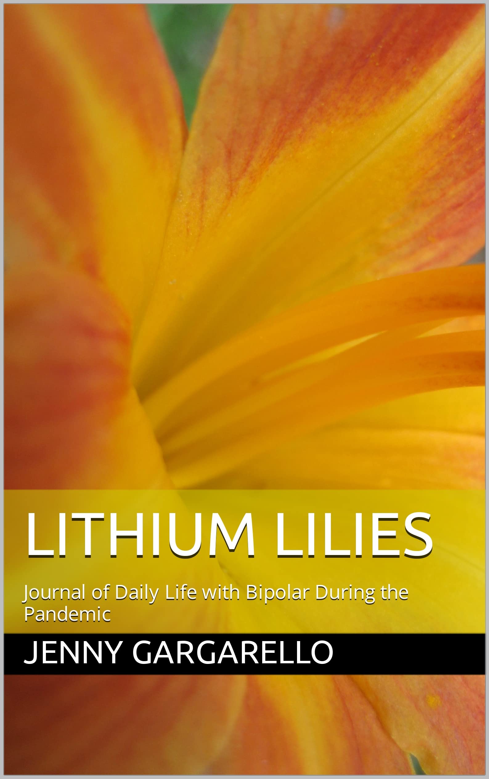 Lithium Lilies: Journal of Daily Life with Bipolar During the Pandemic ...