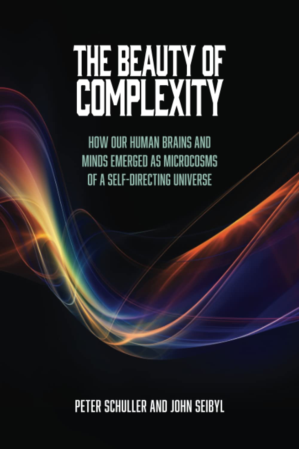 The Beauty of Complexity: How Our Human Brain and Minds Emerged as ...