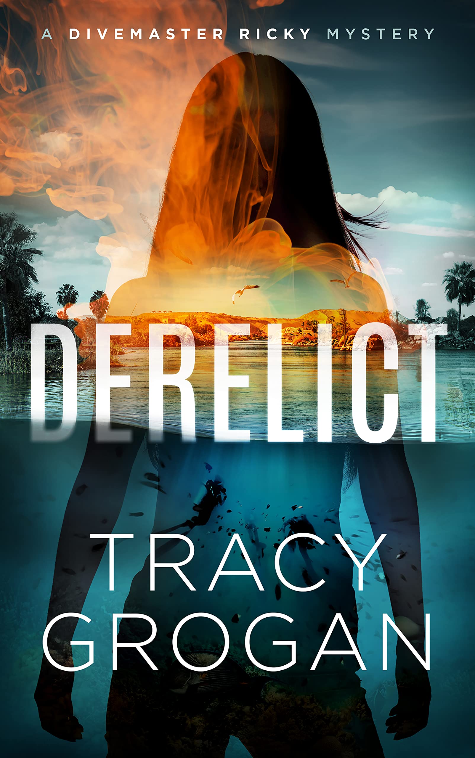 Derelict: A Divemaster Ricky Mystery by Tracy Grogan | Goodreads