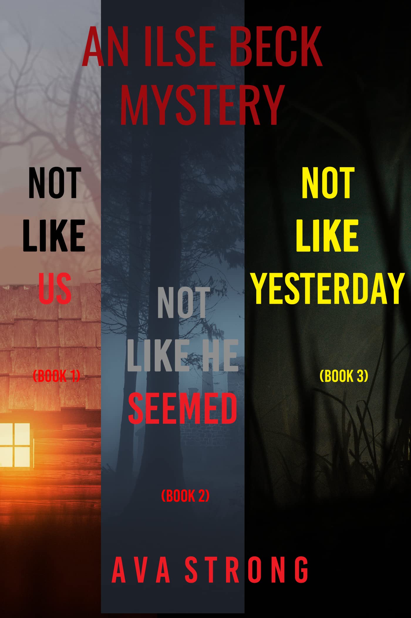 Ilse Beck FBI Suspense Thriller Bundle: Not Like Us (#1), Not Like He ...