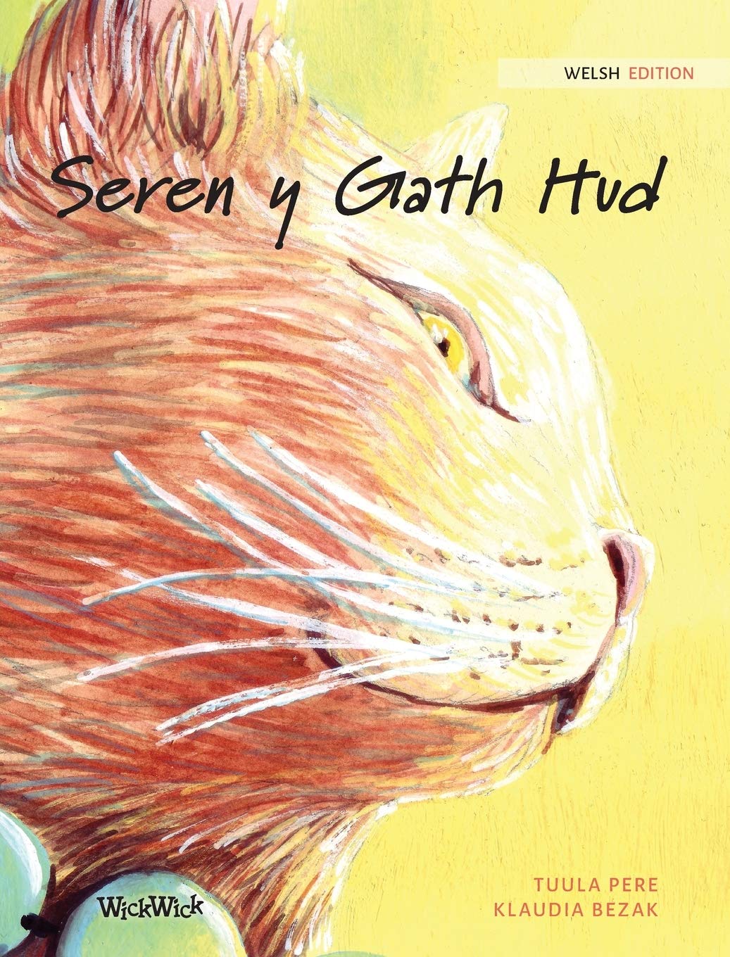 Seren y Gath Hud: Welsh Edition of The Healer Cat by Tuula Pere | Goodreads