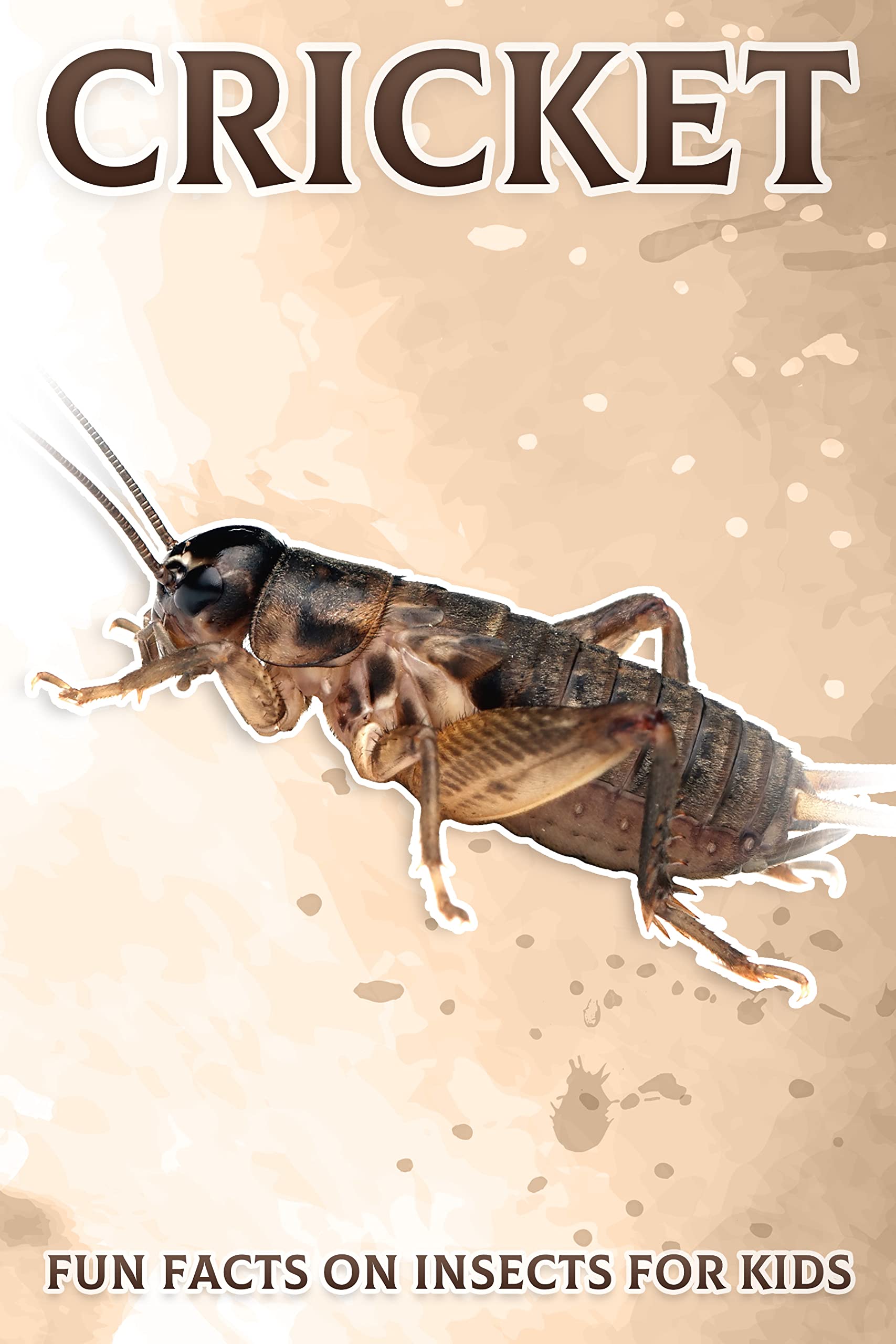 Cricket: Fun Facts on Insects for Kids #16 by Michelle Hawkins | Goodreads