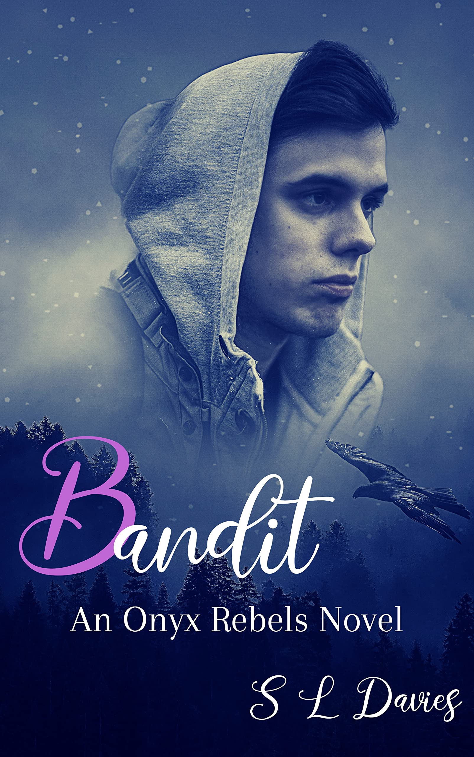 Bandit (Onyx Rebels #4) by S.L. Davies | Goodreads