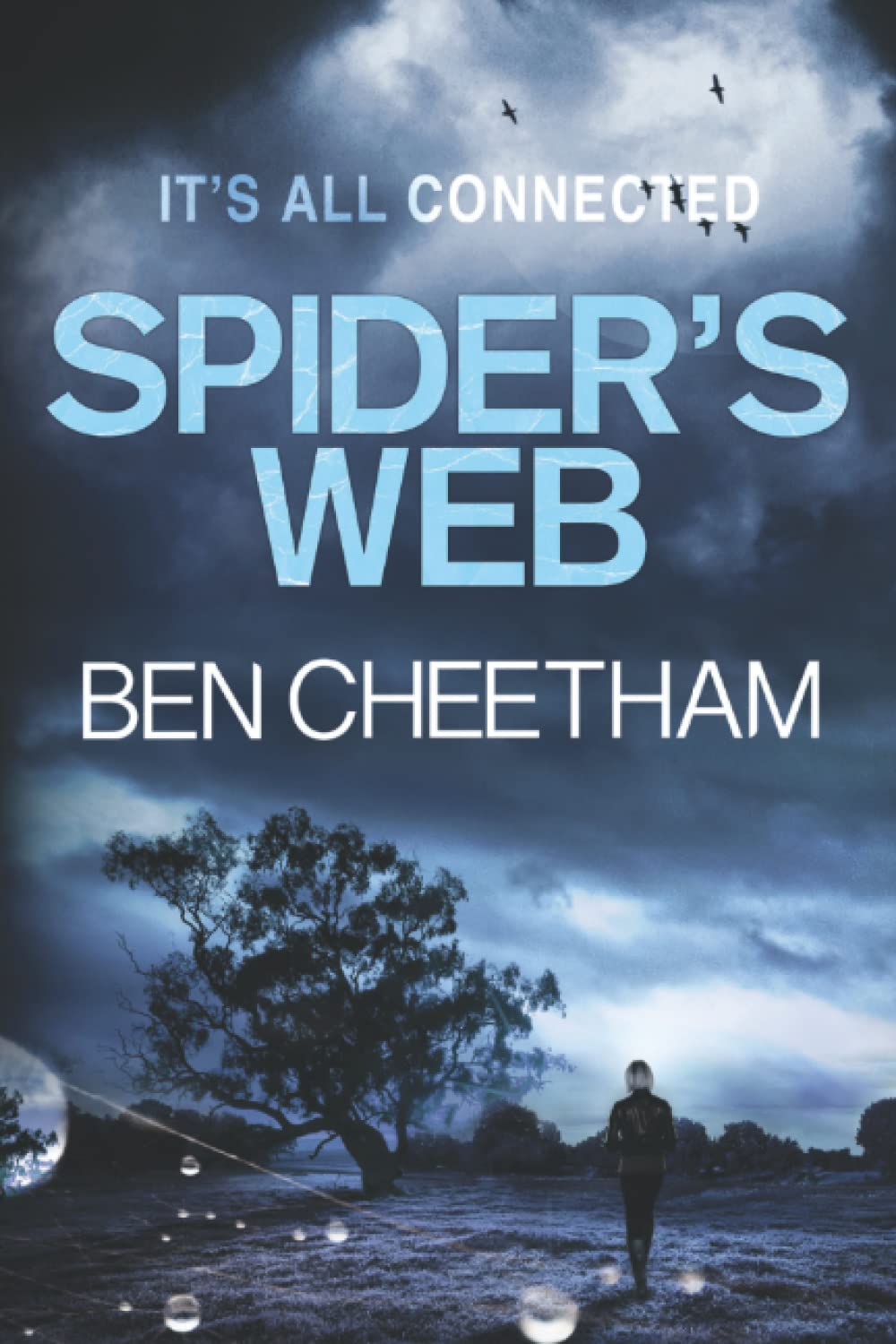 Spider's Web (Steel City Thrillers) by Ben Cheetham | Goodreads