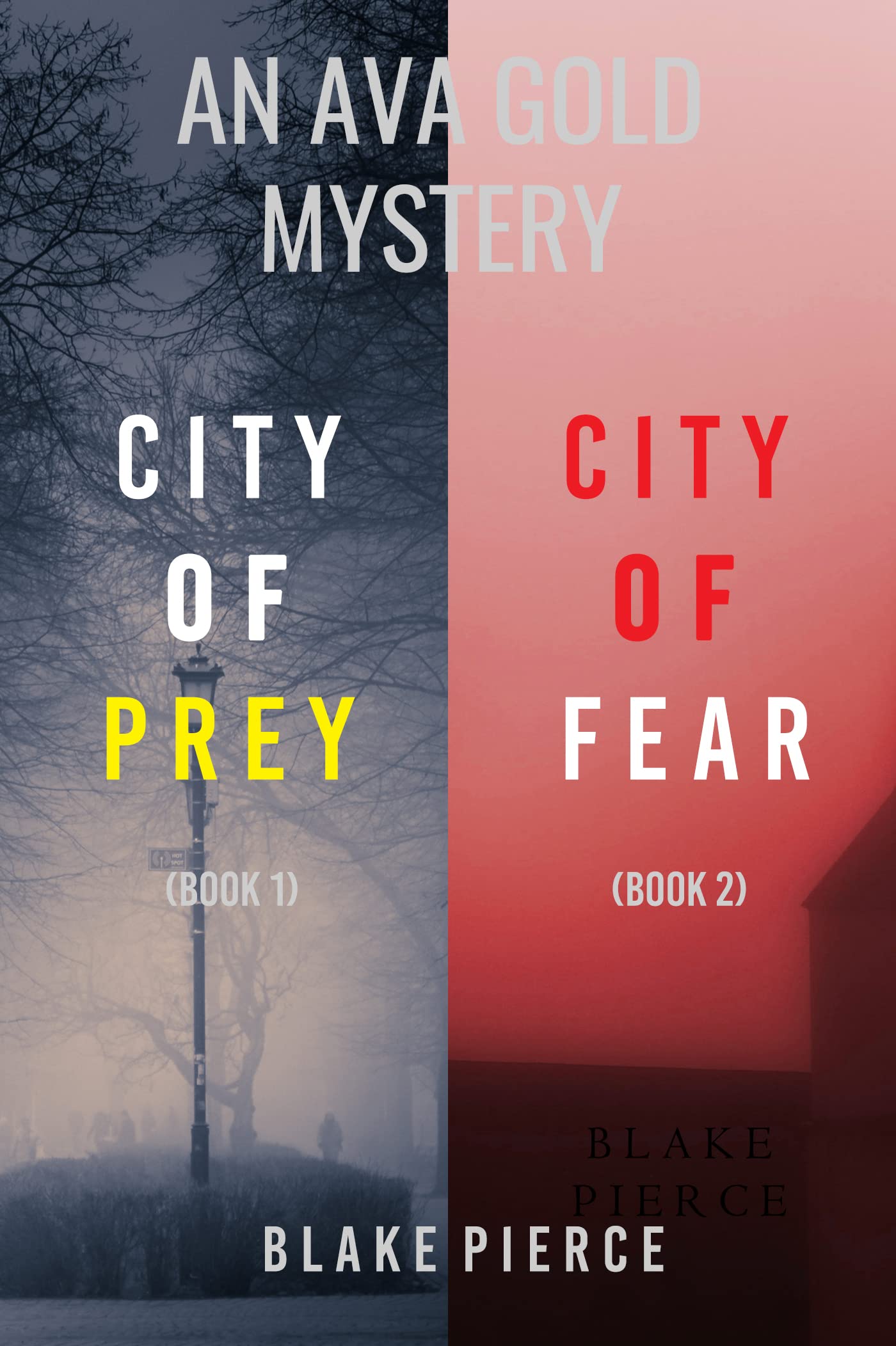 An Ava Gold Mystery Bundle: City of Prey (#1) and City of Fear by Blake ...