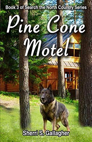 Pine Cone Motel (Search the North Country) by Sherri S. Gallagher ...