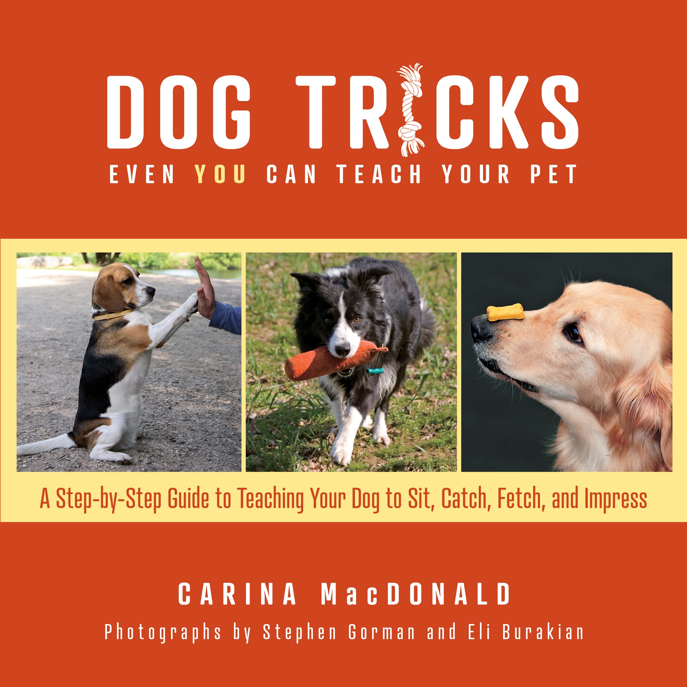 Dog Tricks Even You Can Teach Your Pet: A Step-by-Step Guide to ...