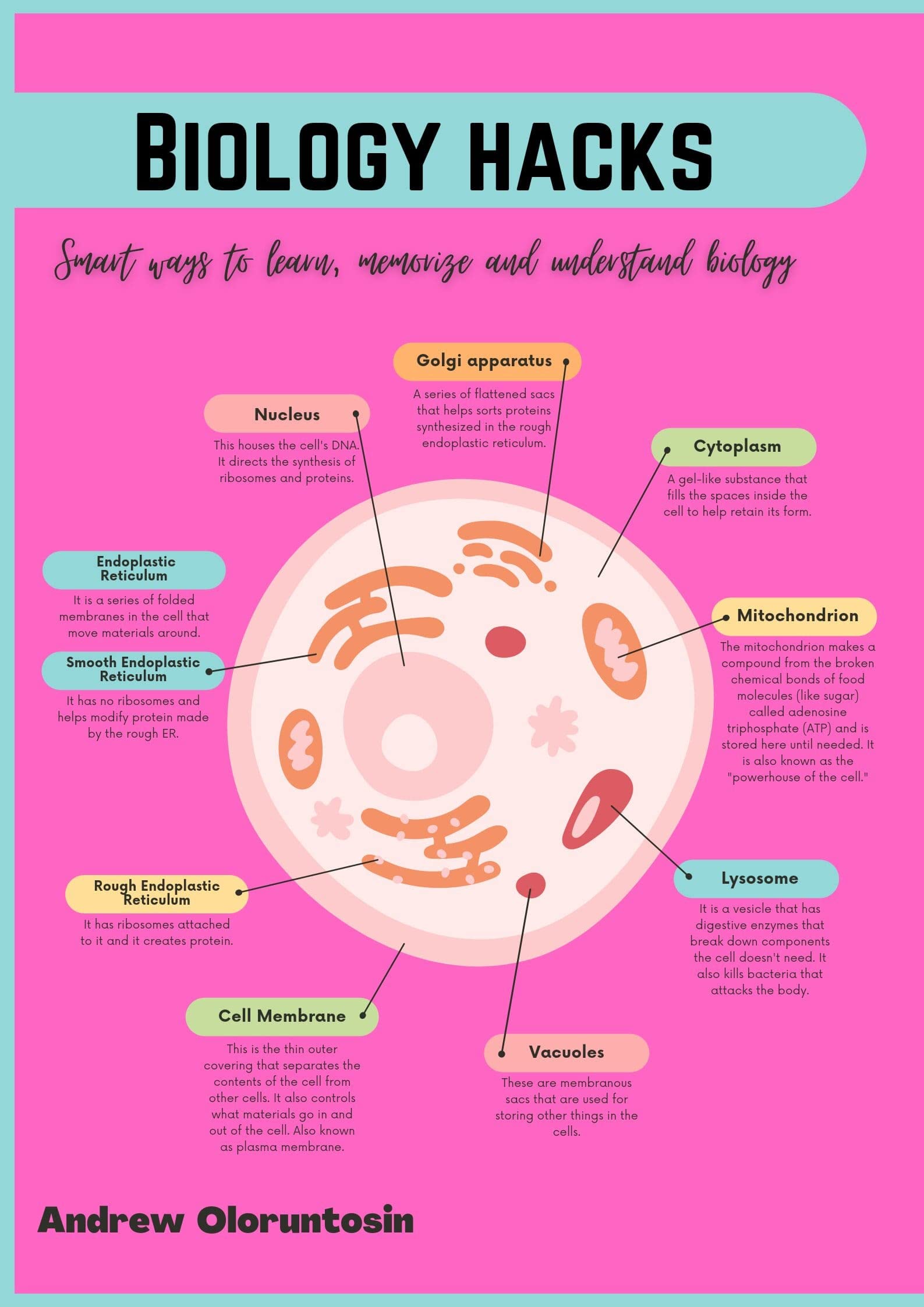 Biology Hacks: Smart ways to learn, memorize and understand biology by ...